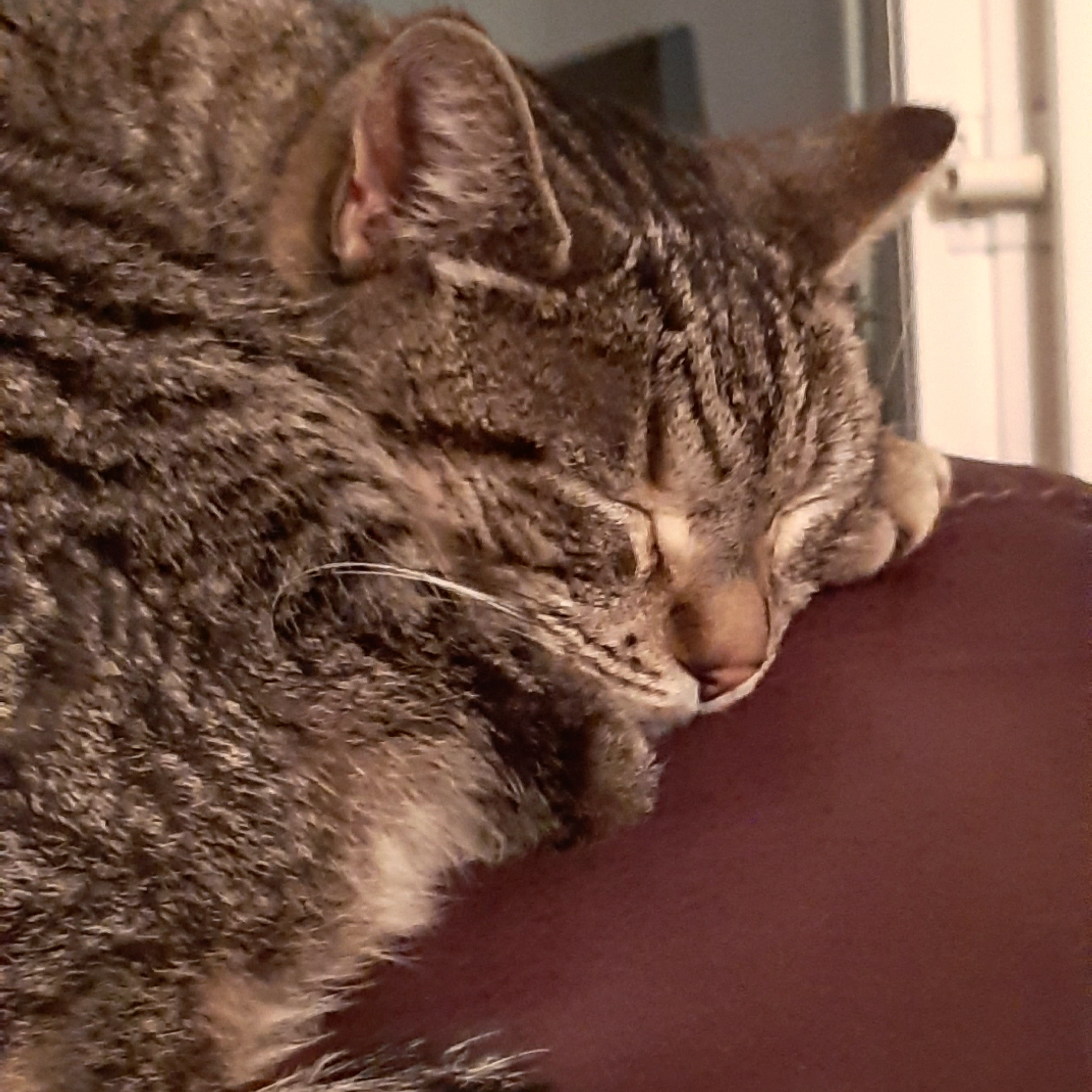 My sleepy gremlin baby Ivy | Scrolller