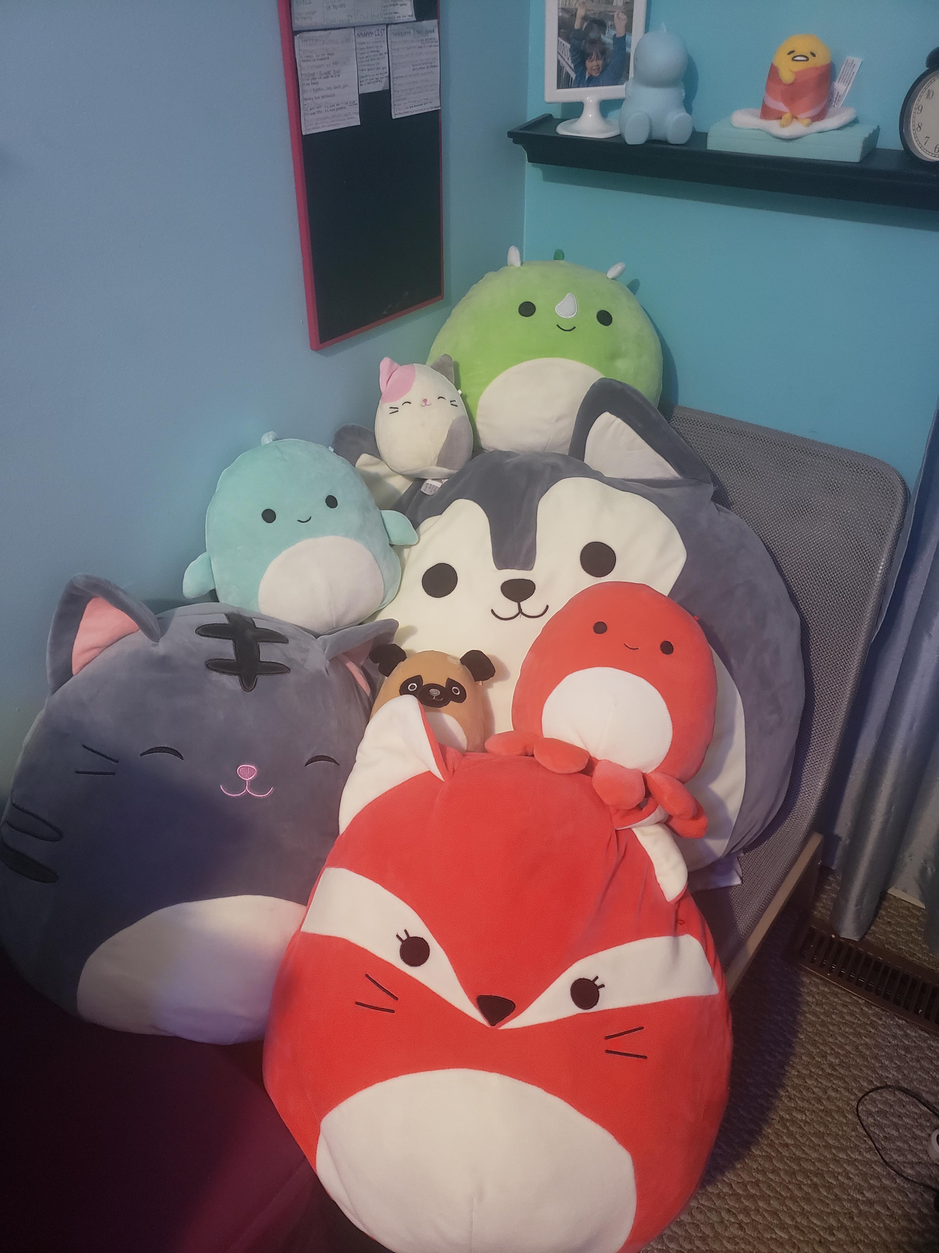 my small squishmallow collection | Scrolller