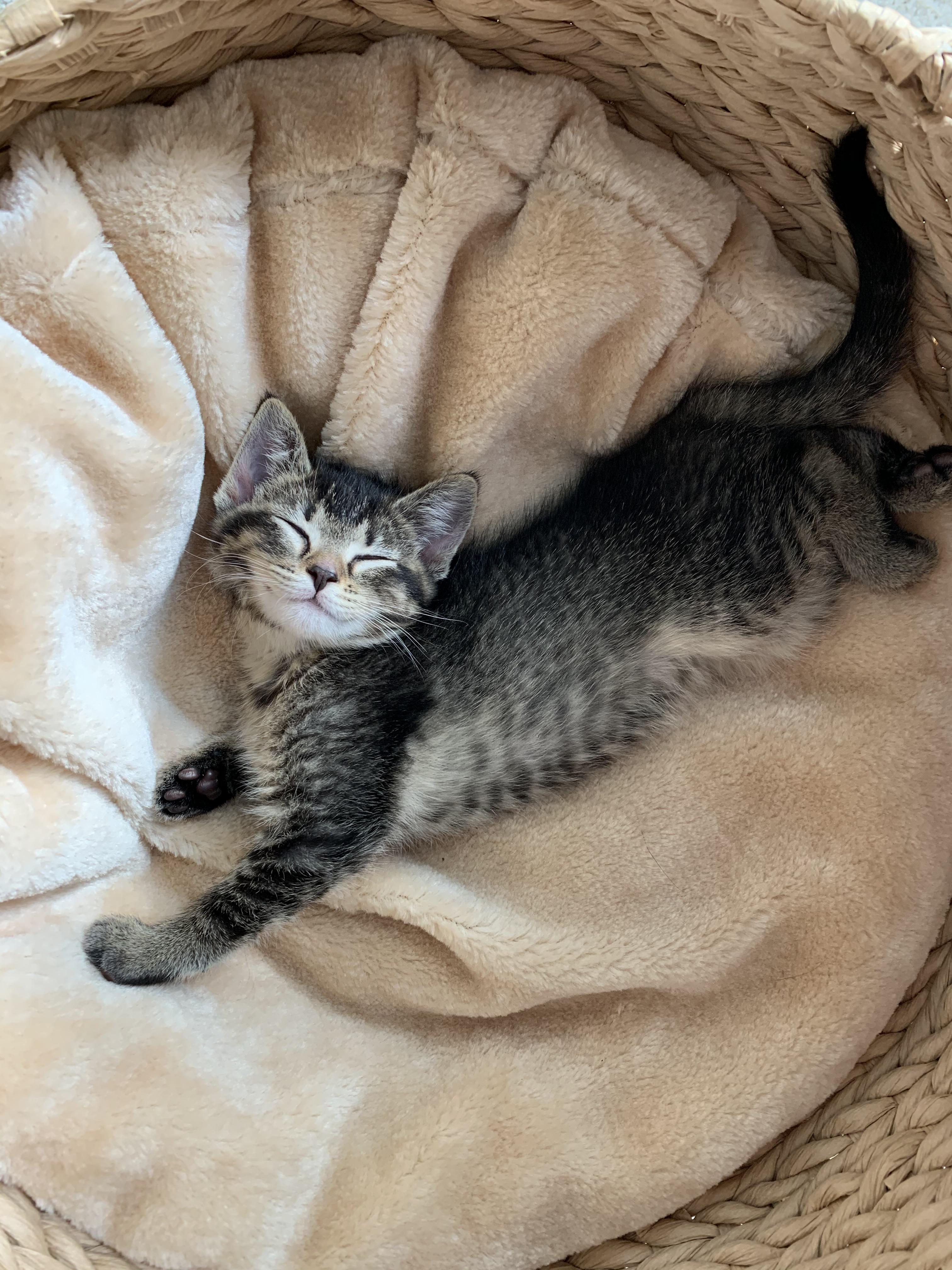 My smiley girl. | Scrolller