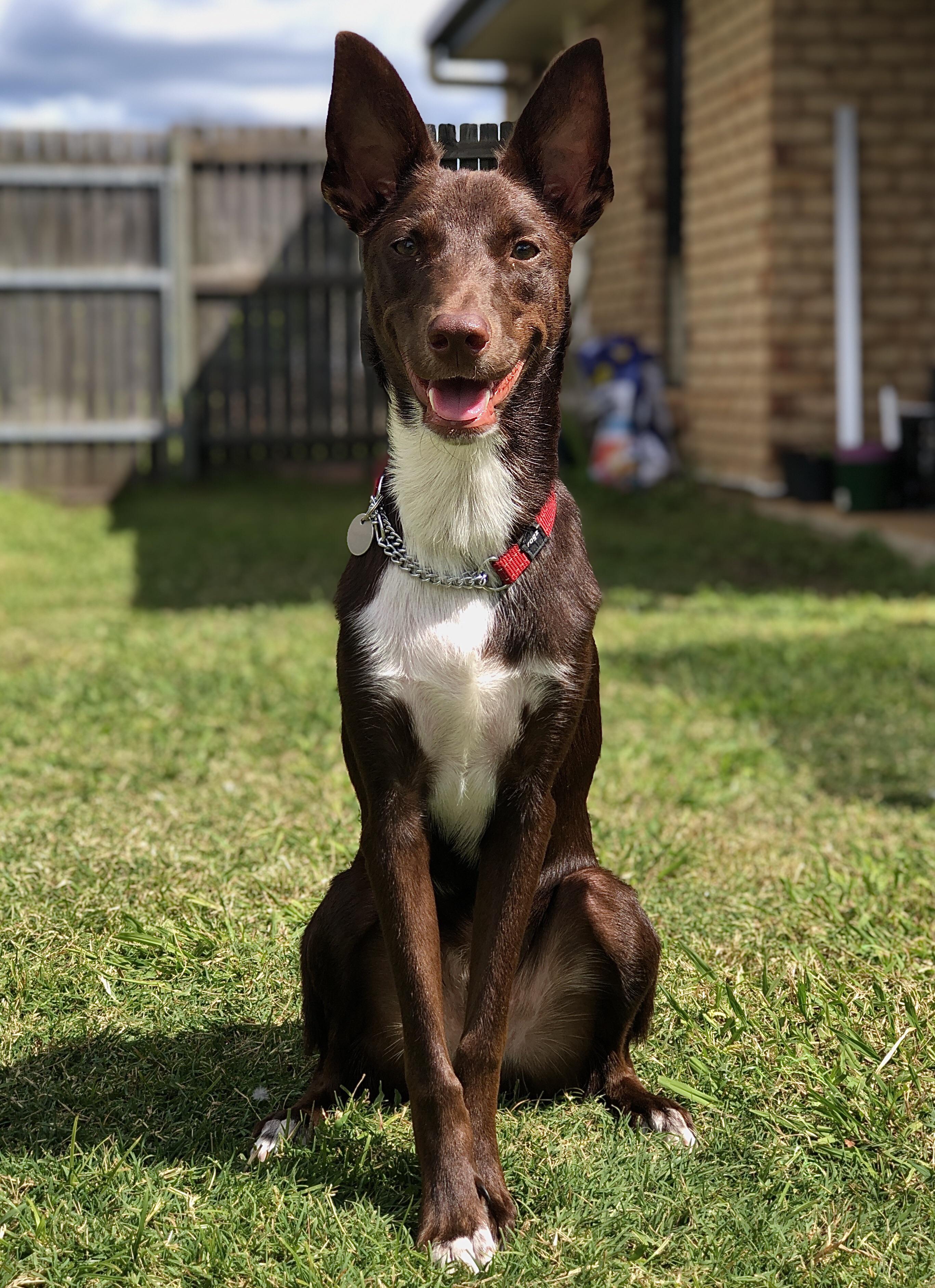 My smiley guy! | Scrolller