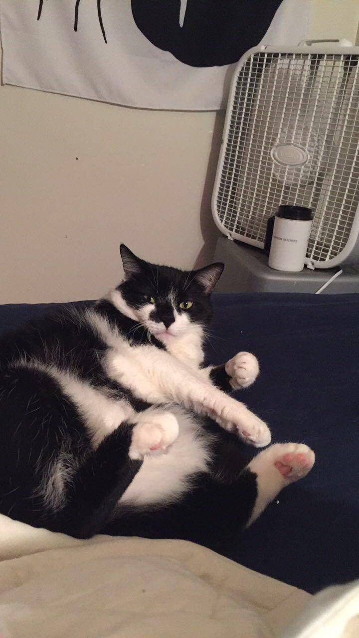 My sneeze disturbed his nap. | Scrolller