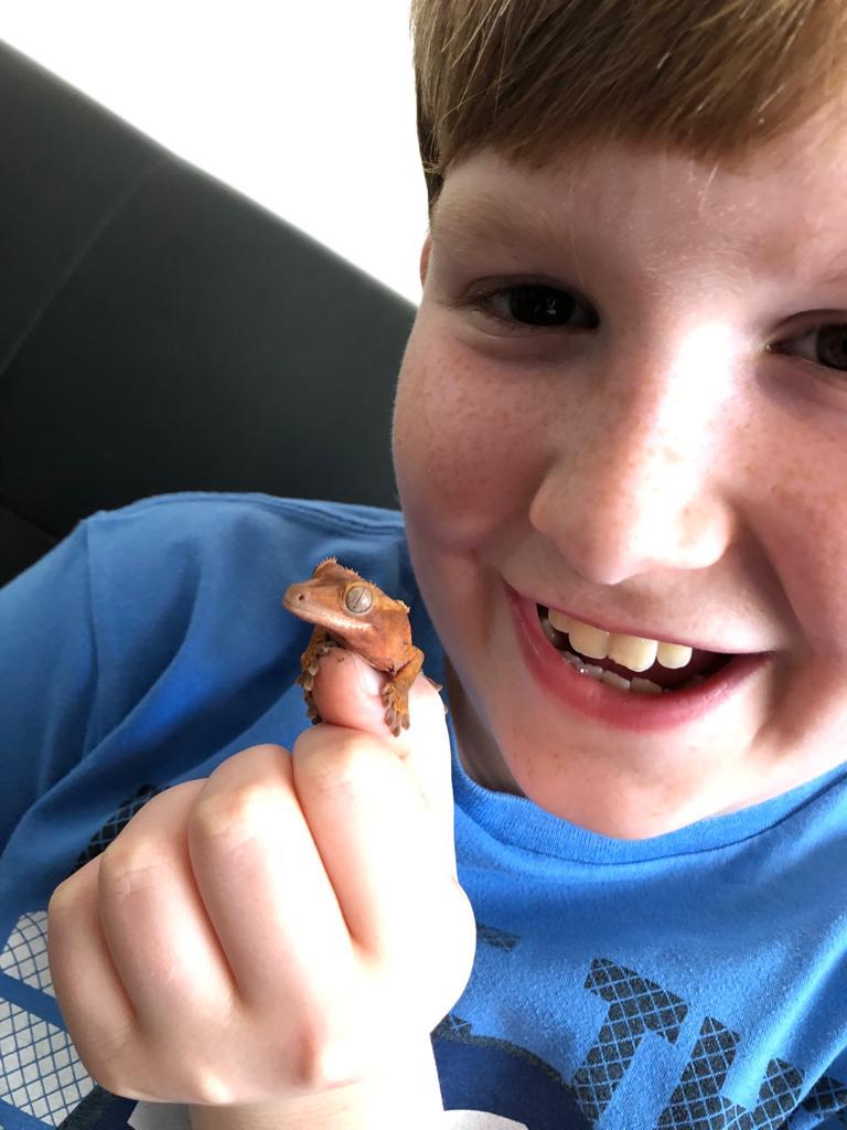 My son and his gecko, Ziggy! | Scrolller