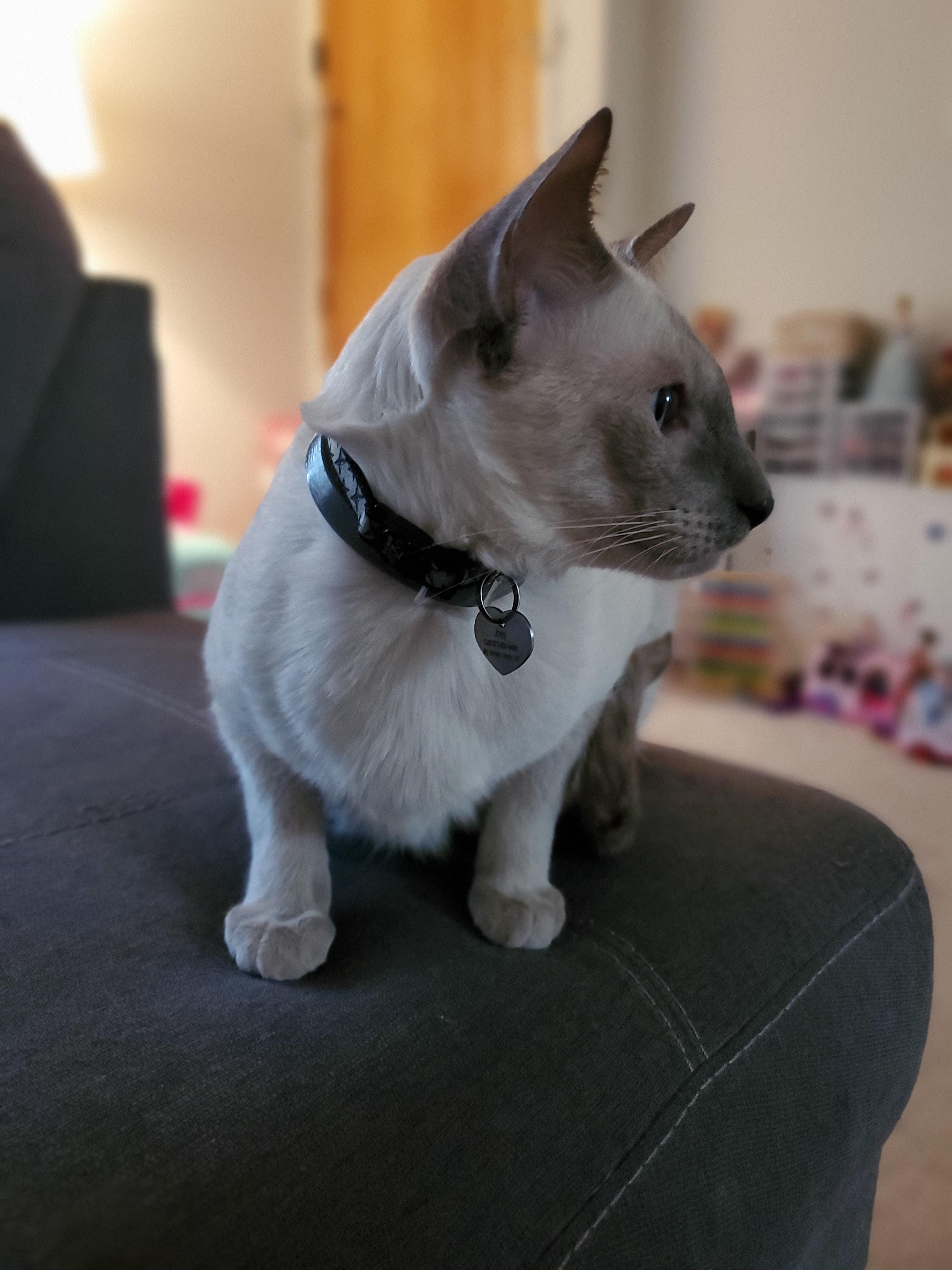 My son looking so handsome every day | Scrolller