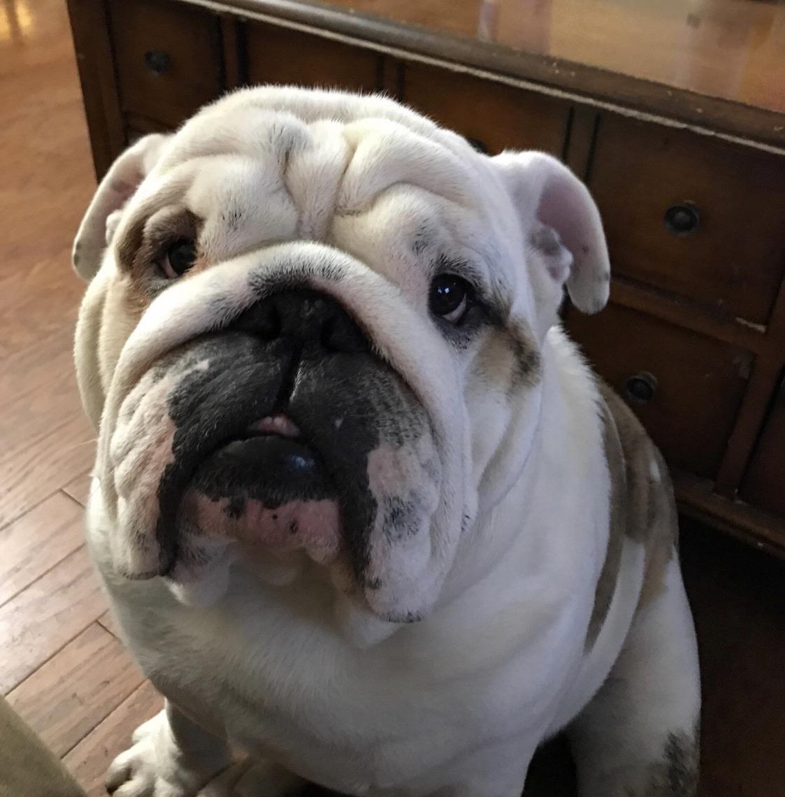 My Spike | Scrolller