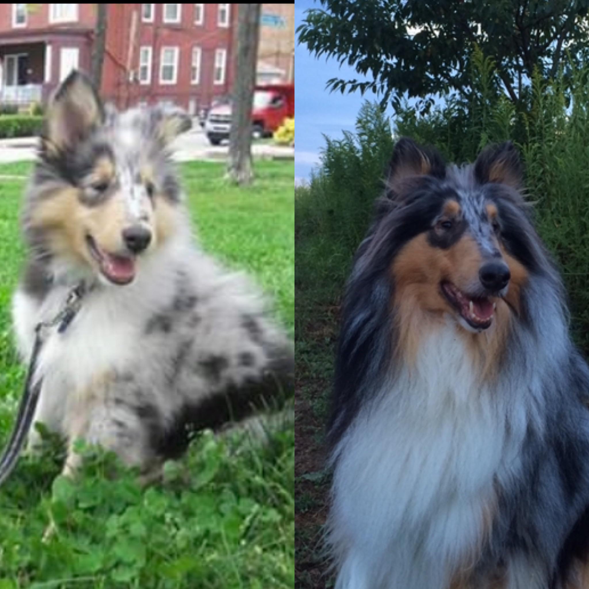 My sweet boy. | Scrolller