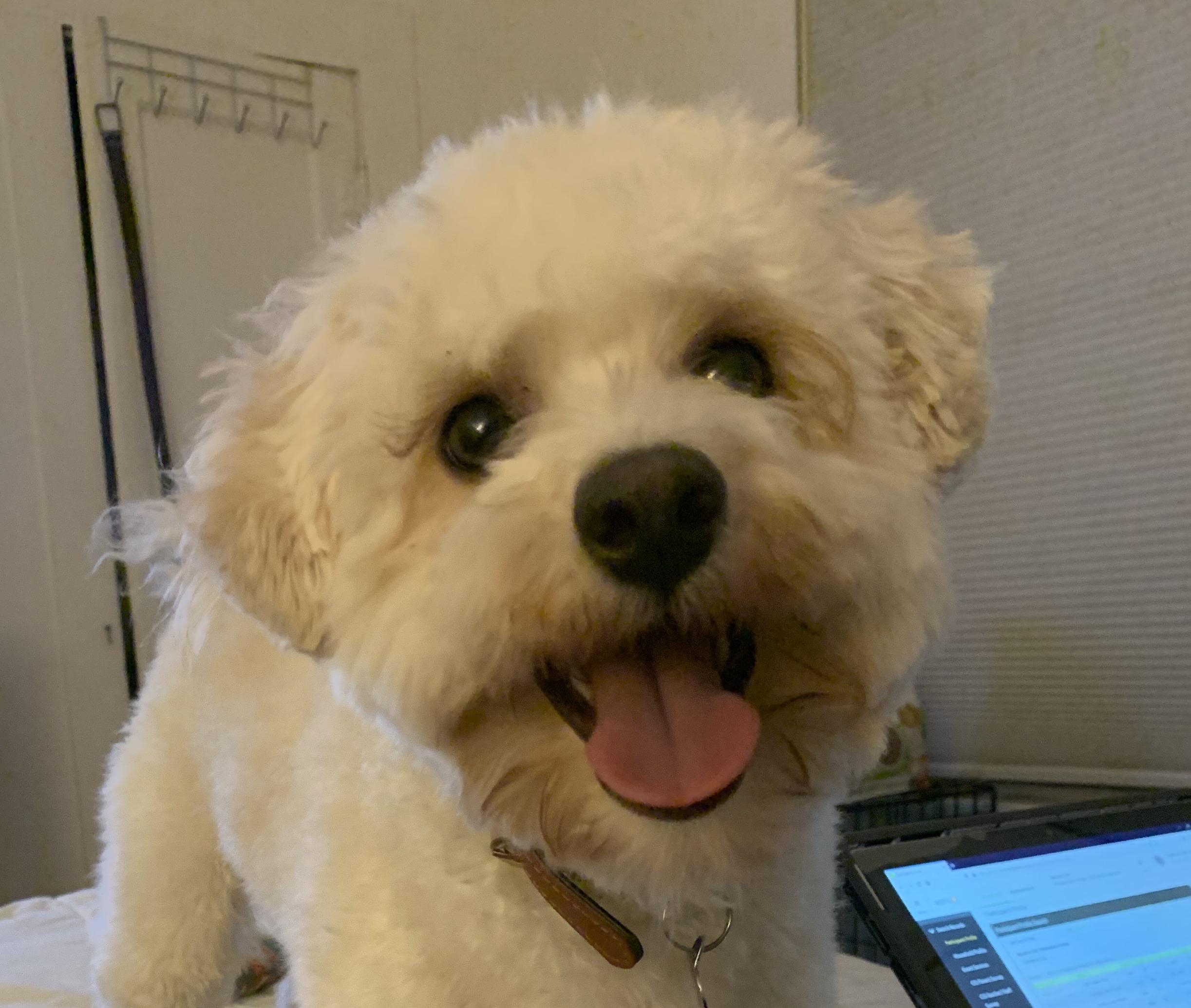 My sweet boy! | Scrolller