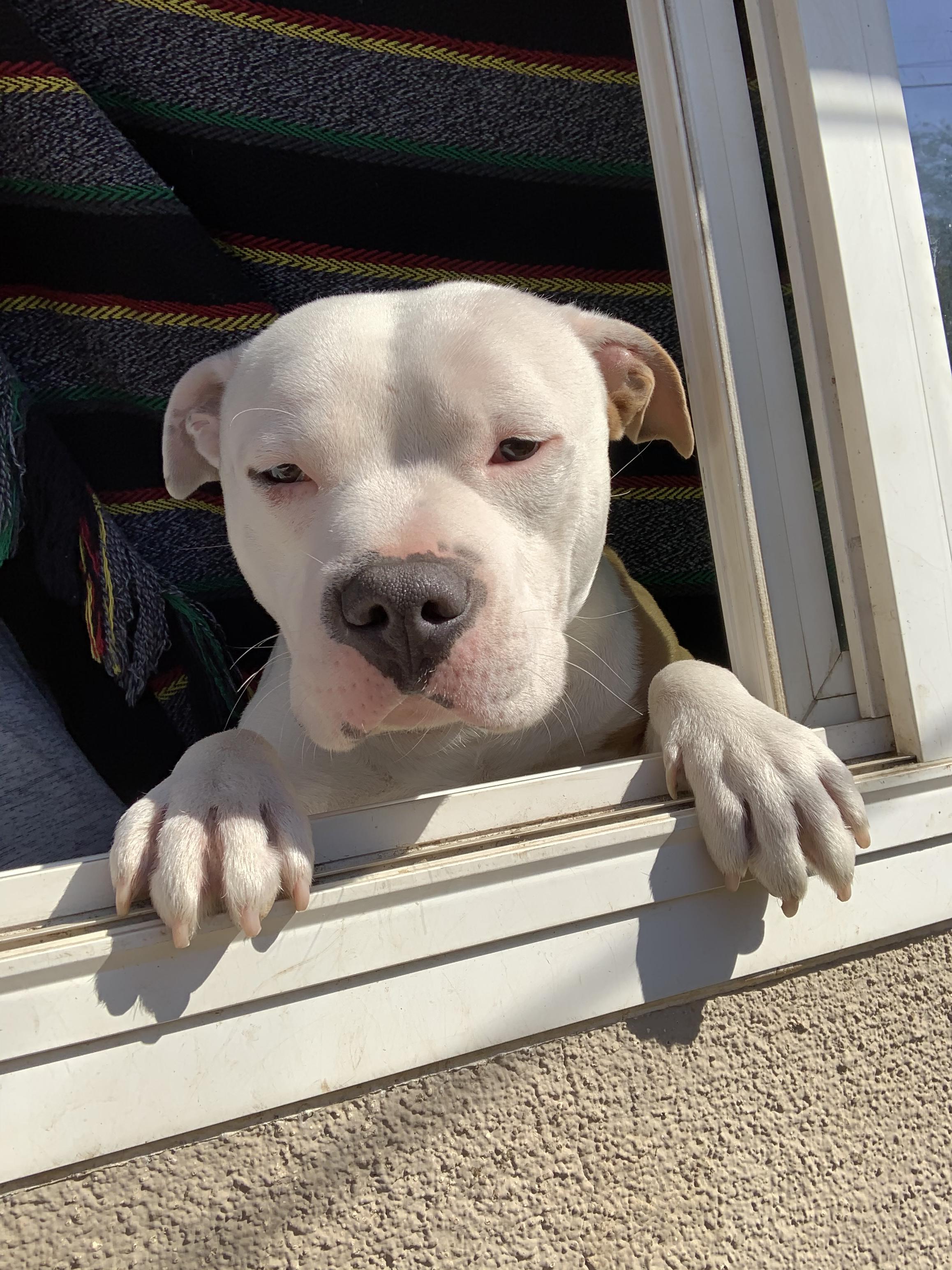 My sweet boy | Scrolller