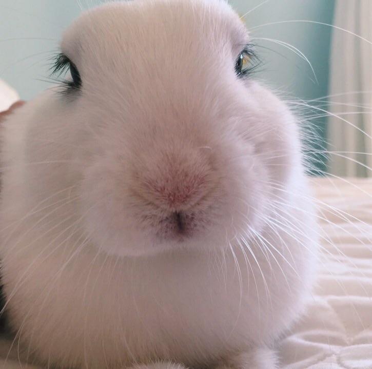 My sweet girl has the most beautiful eyelashes | Scrolller