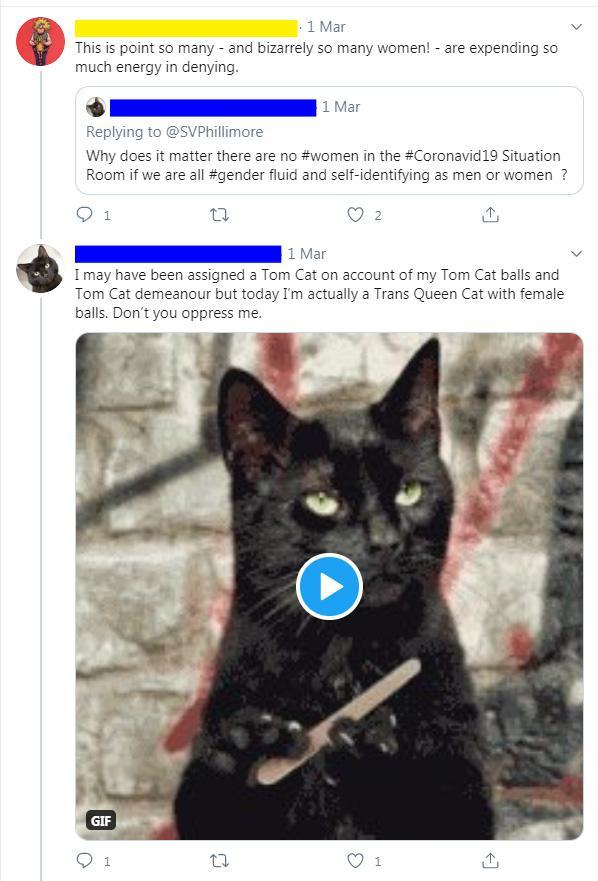 "My Tom Cat Balls" | Scrolller