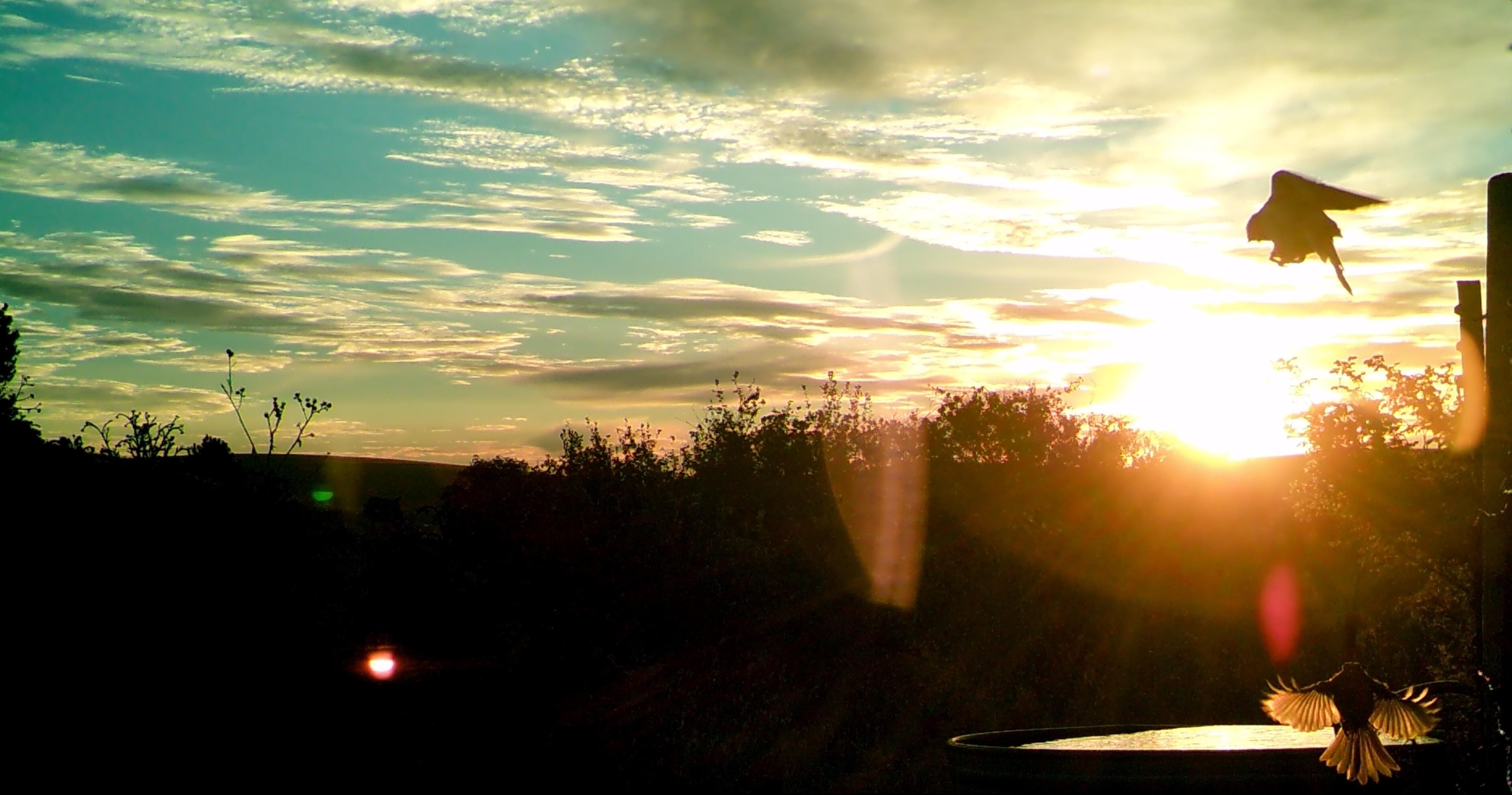 My trail cam out here snapping some real gems | Scrolller