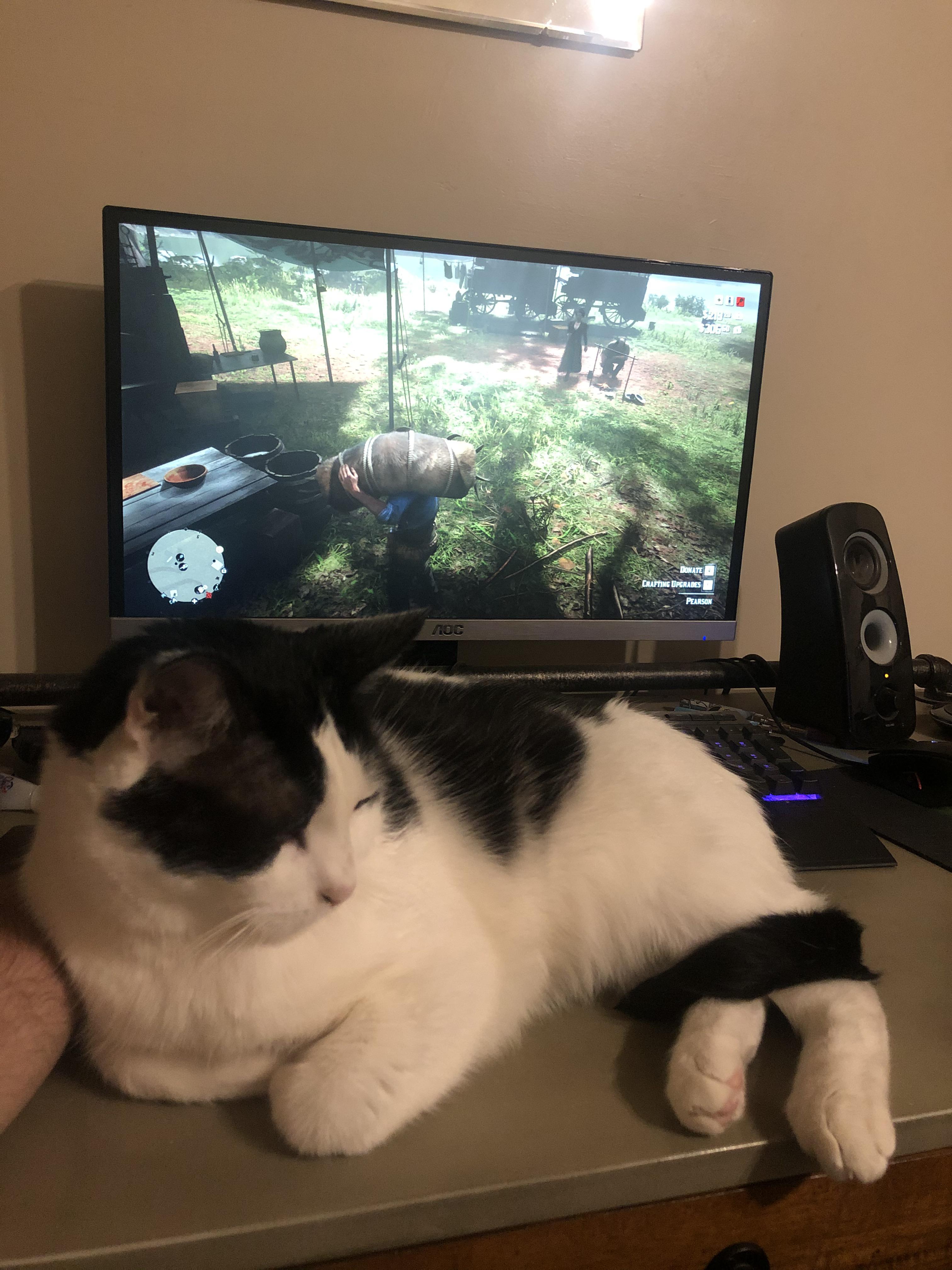 My very polite boy | Scrolller