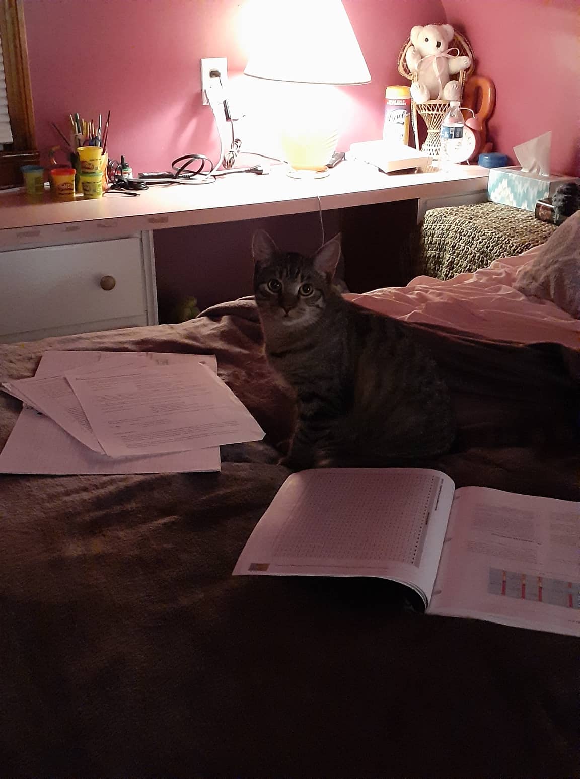 My very studious girl | Scrolller