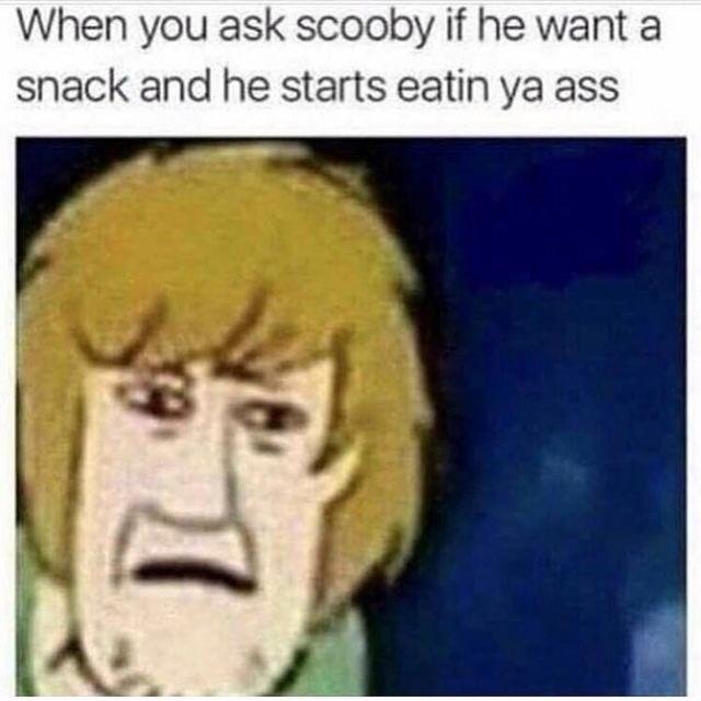 Mystery Machine adventures | Scrolller