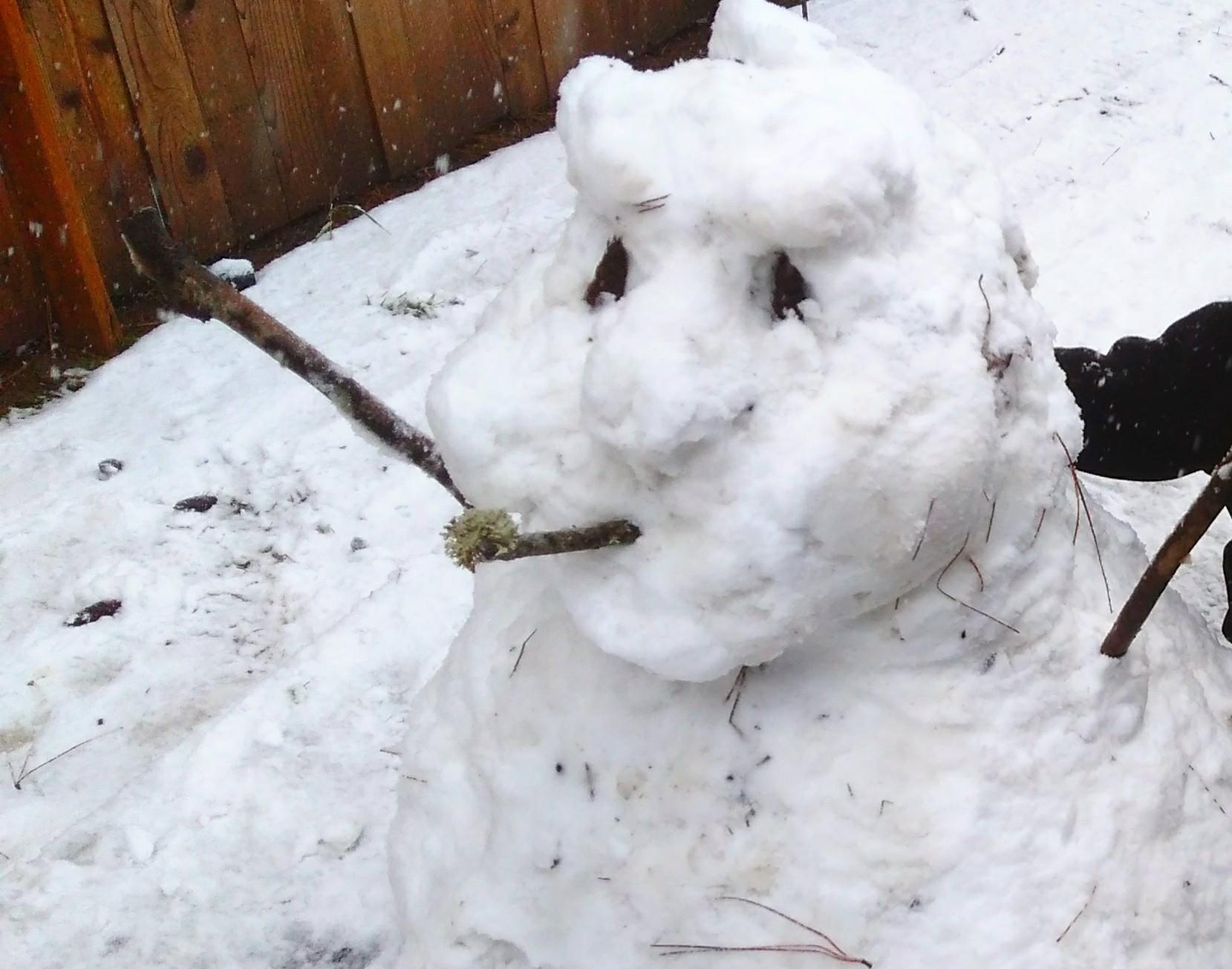 Names Rob, Rob the Snowman. | Scrolller