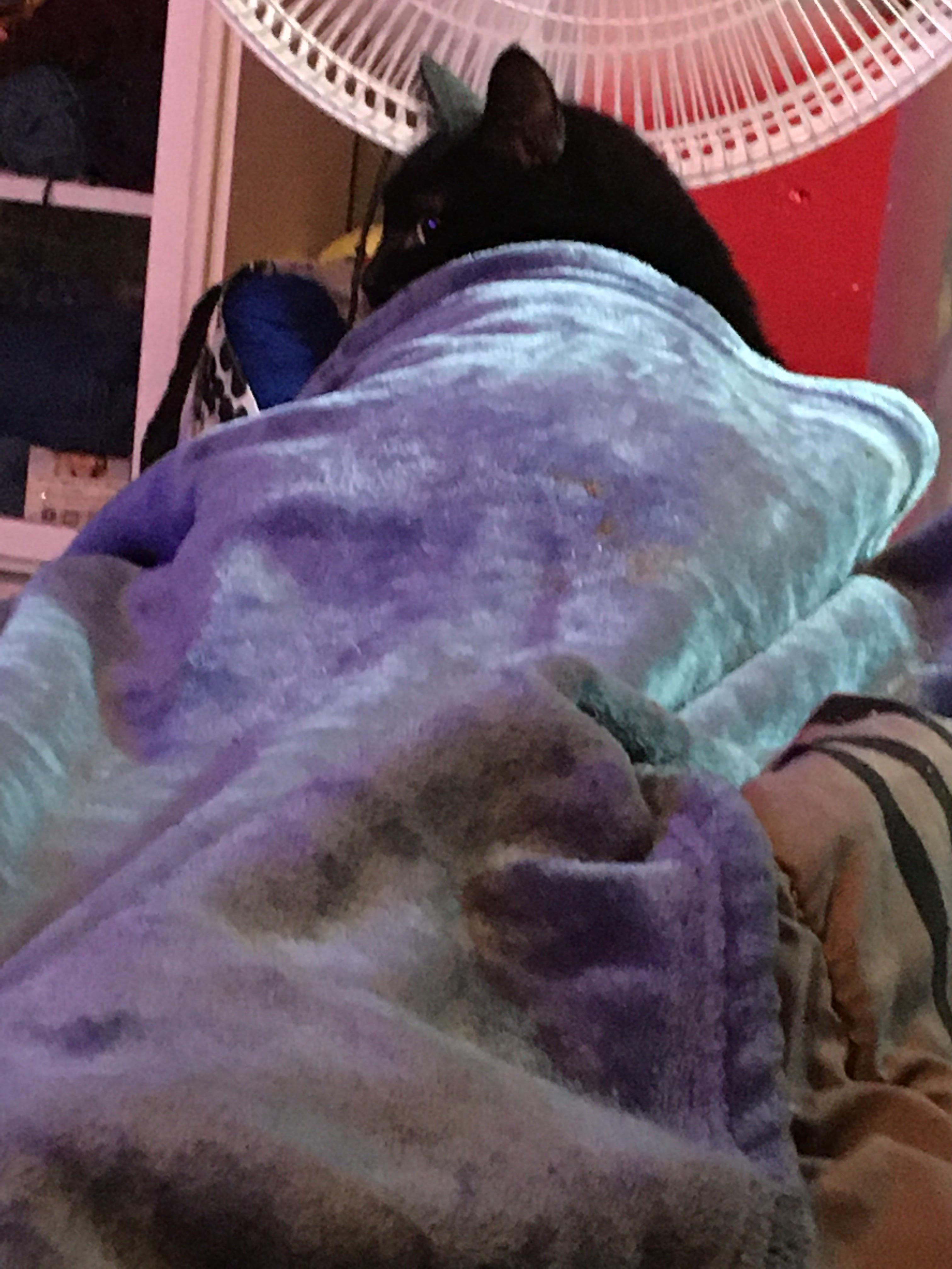 Nap time | Scrolller