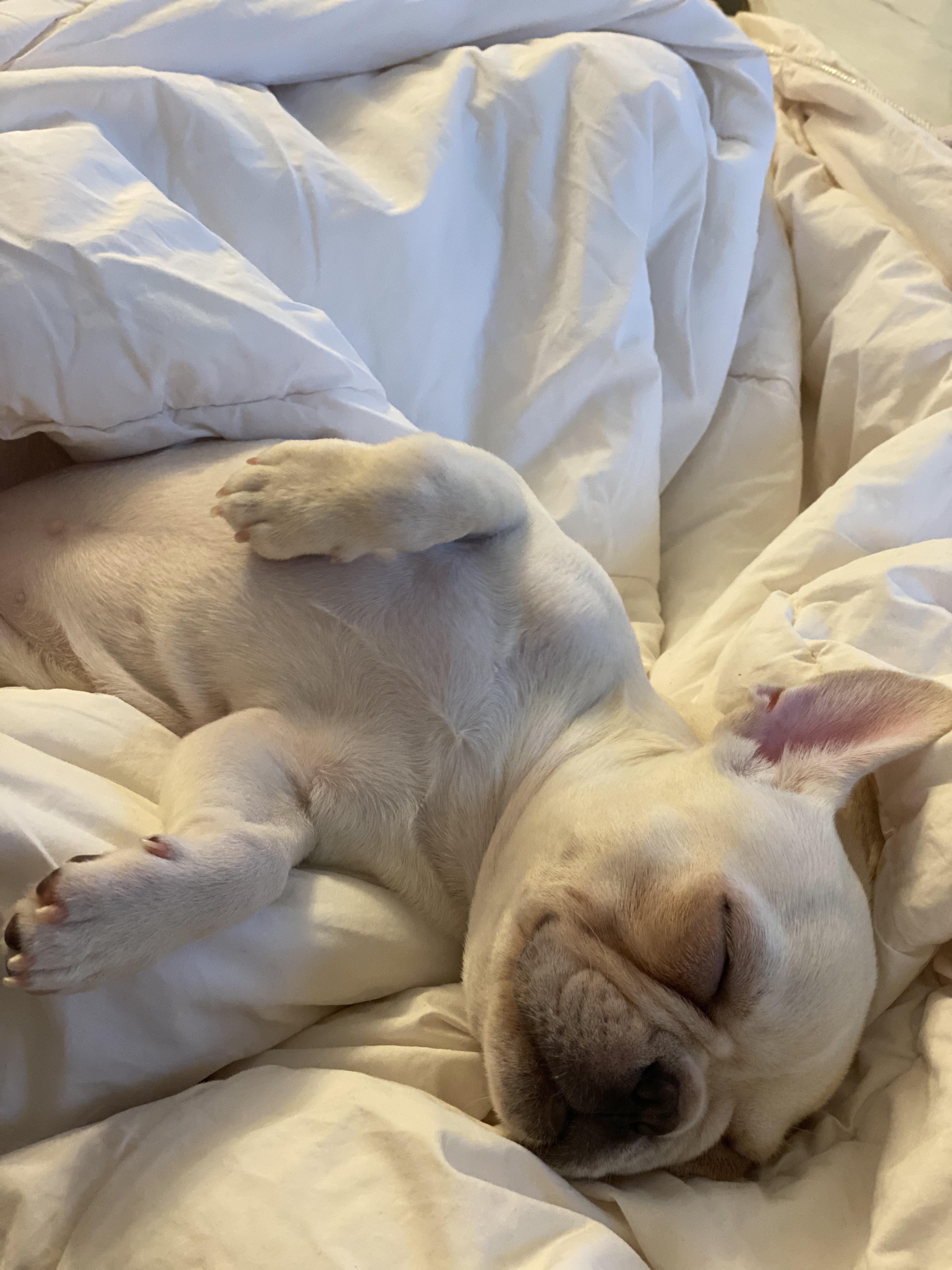 Nap time is best time | Scrolller