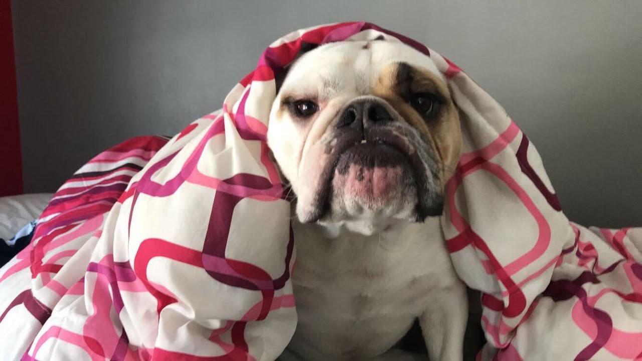 Nappy time 💤 😴 | Scrolller