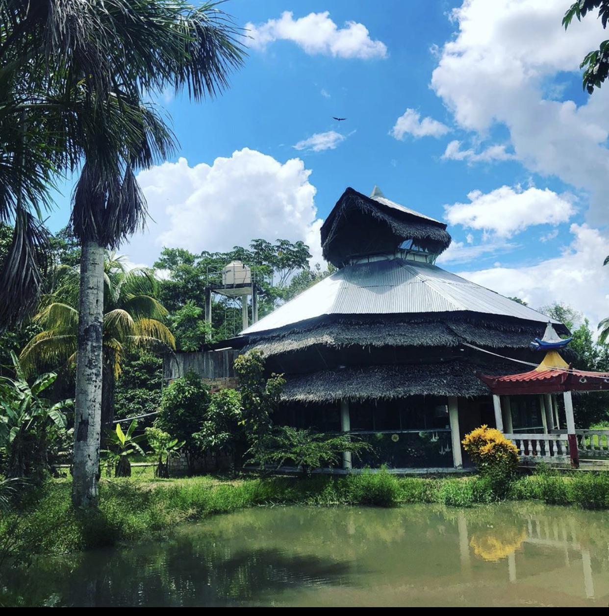 National Reserve Allpahuayo-Mishana, Peru | Scrolller