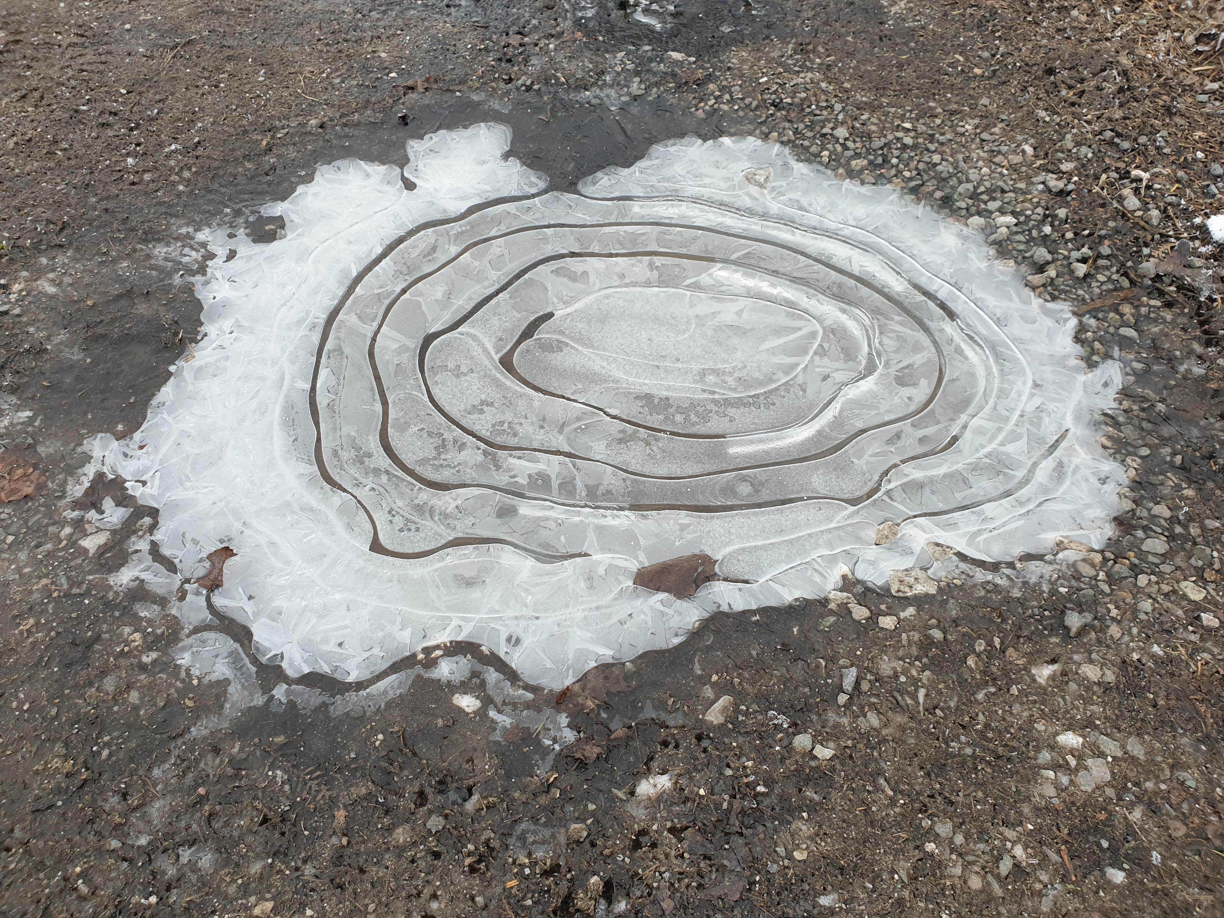 Natural spiral bubbles in ice on puddle | Scrolller