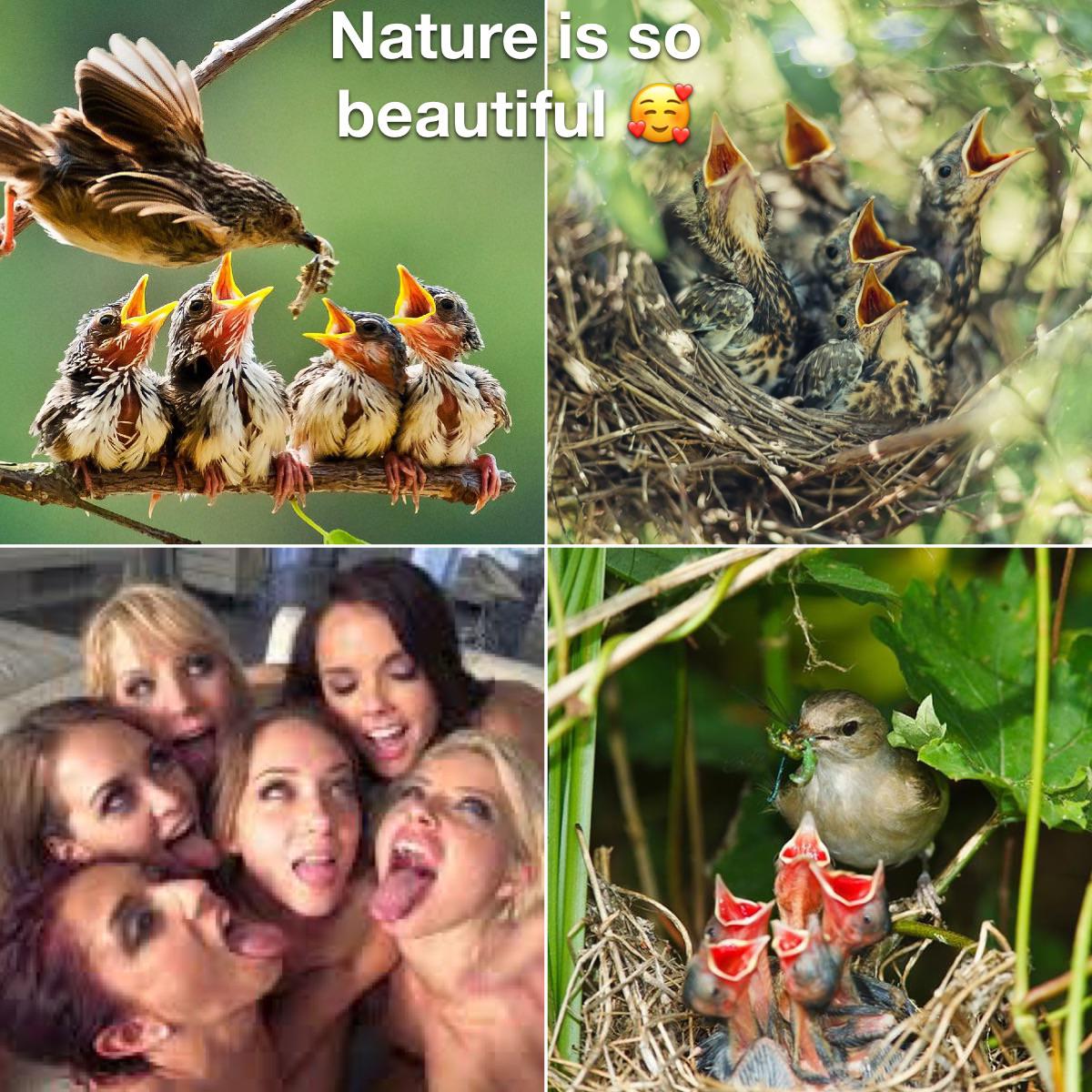 Nature is wonderful | Scrolller