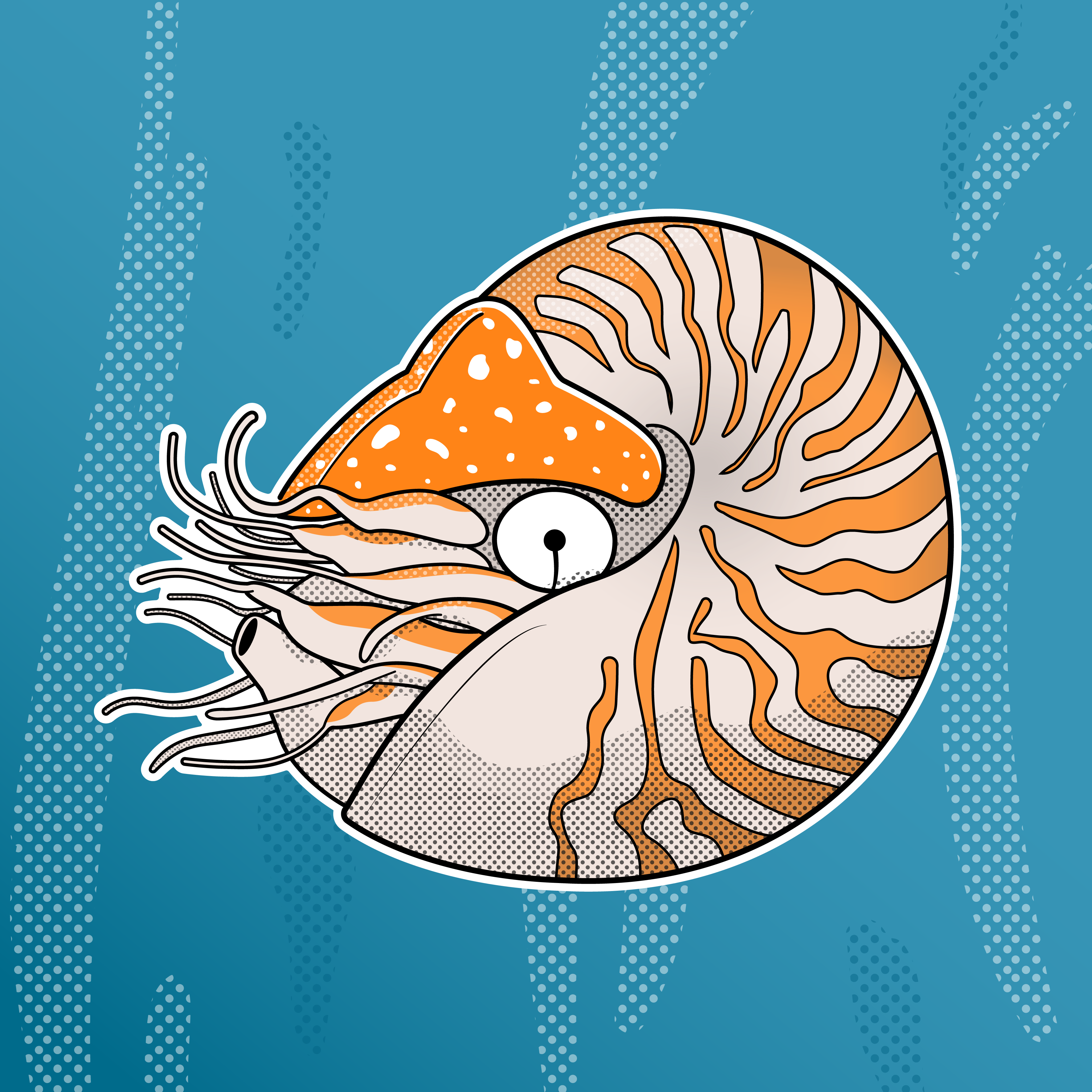 nautilus. | Scrolller