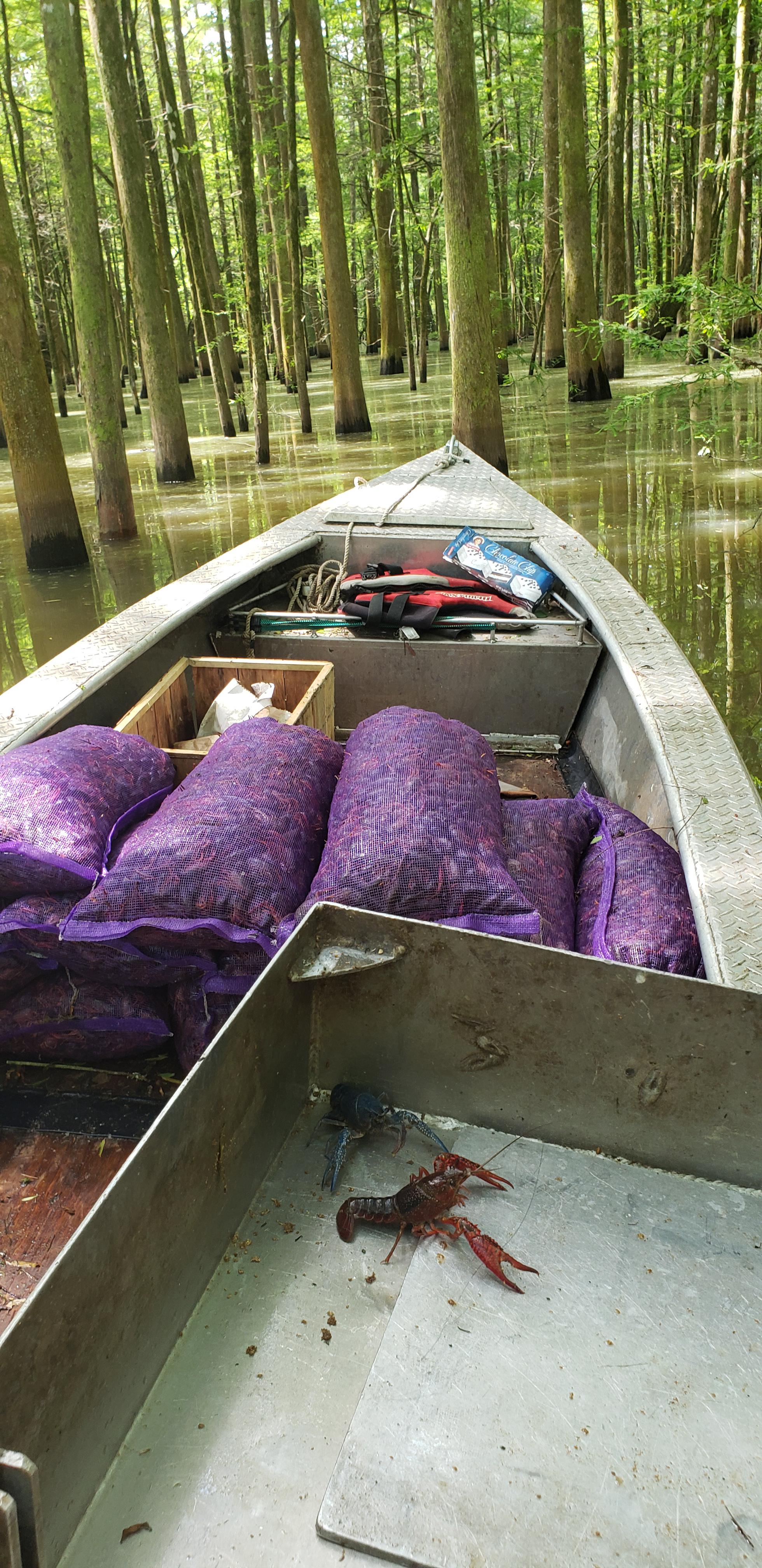 Navigating with a load gets tricky. | Scrolller