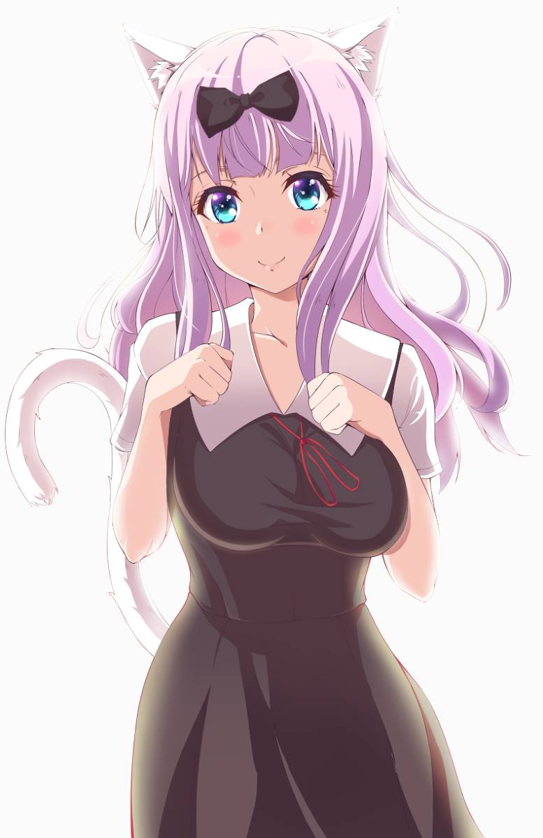 Neko Chika [Kaguya-sama] | Scrolller