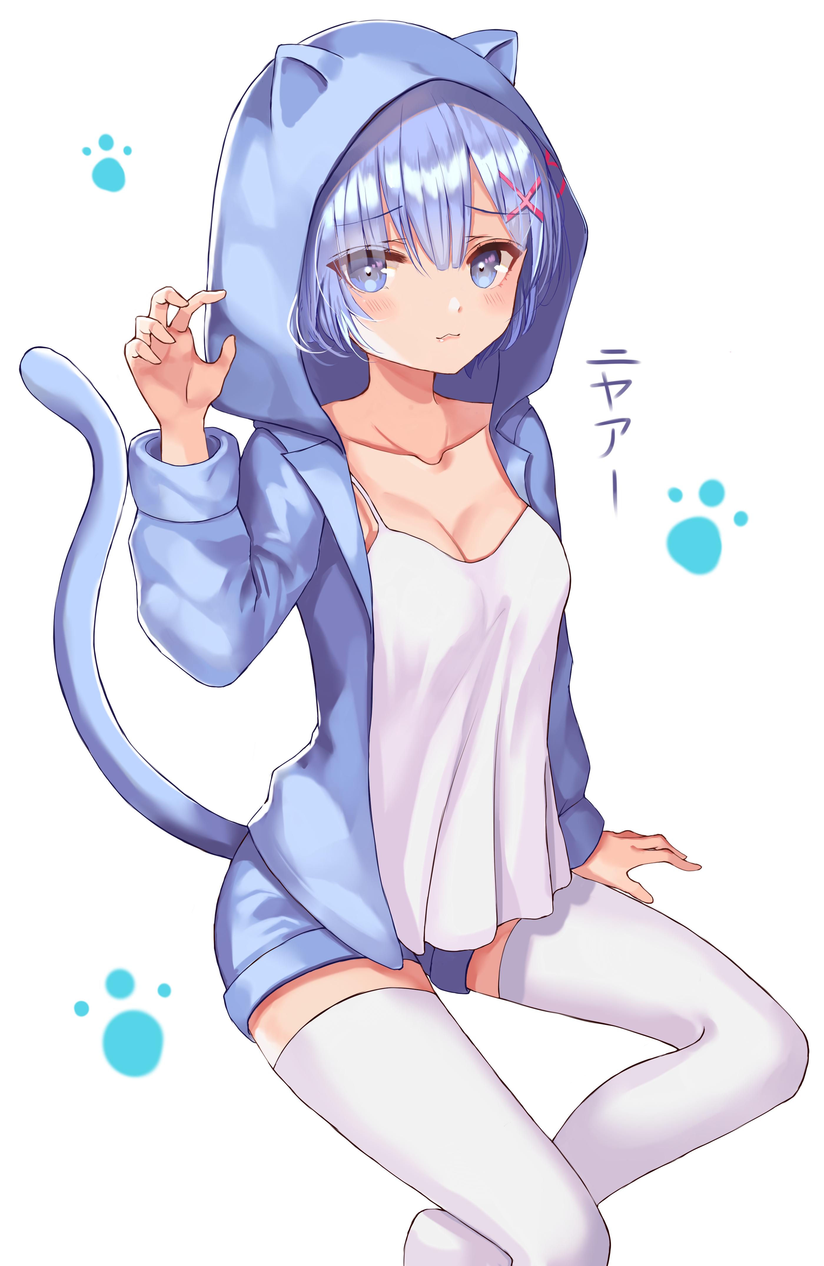 Neko Hoodie Rem [Re:Zero] | Scrolller