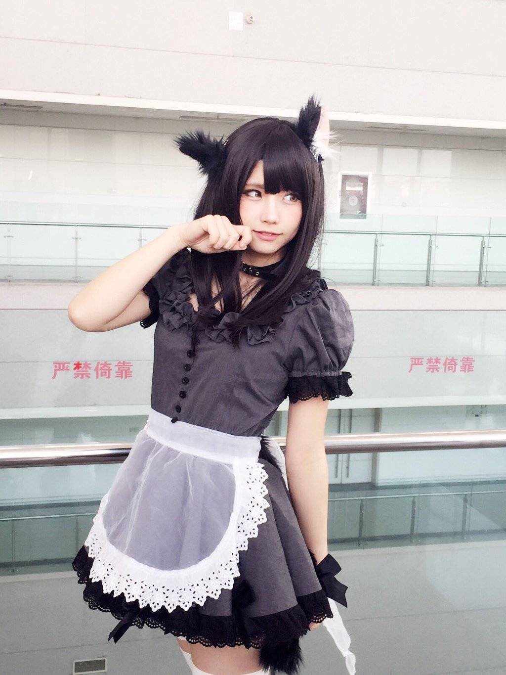 Nekomimi Maid | Scrolller