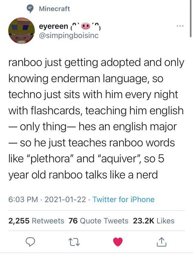 Nerd Ranboo | Scrolller