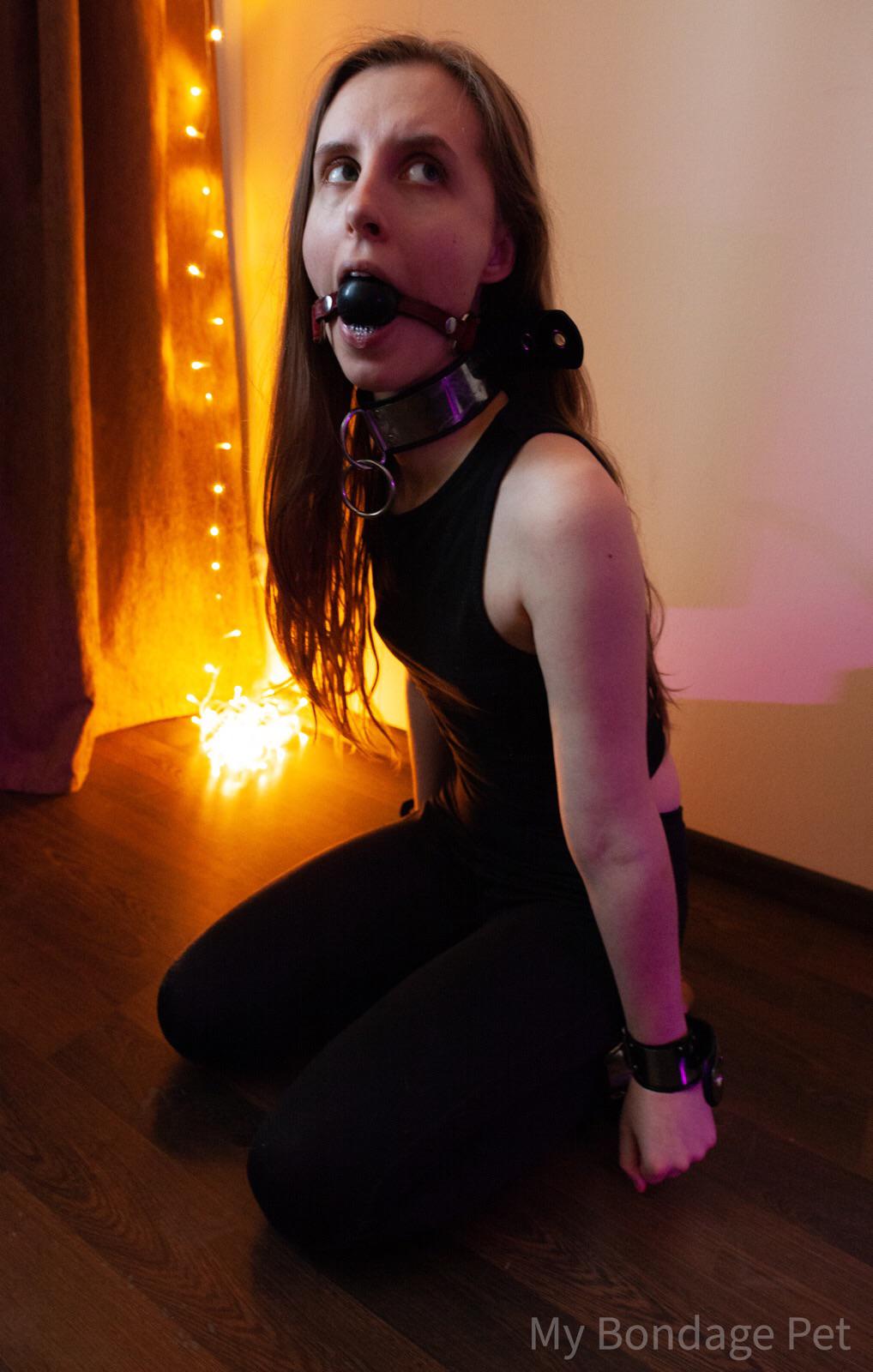 Waiting for Master patiently in my cozy spot | Scrolller