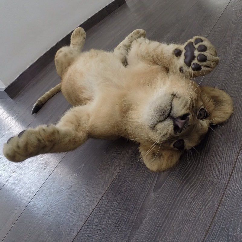 new beans | Scrolller