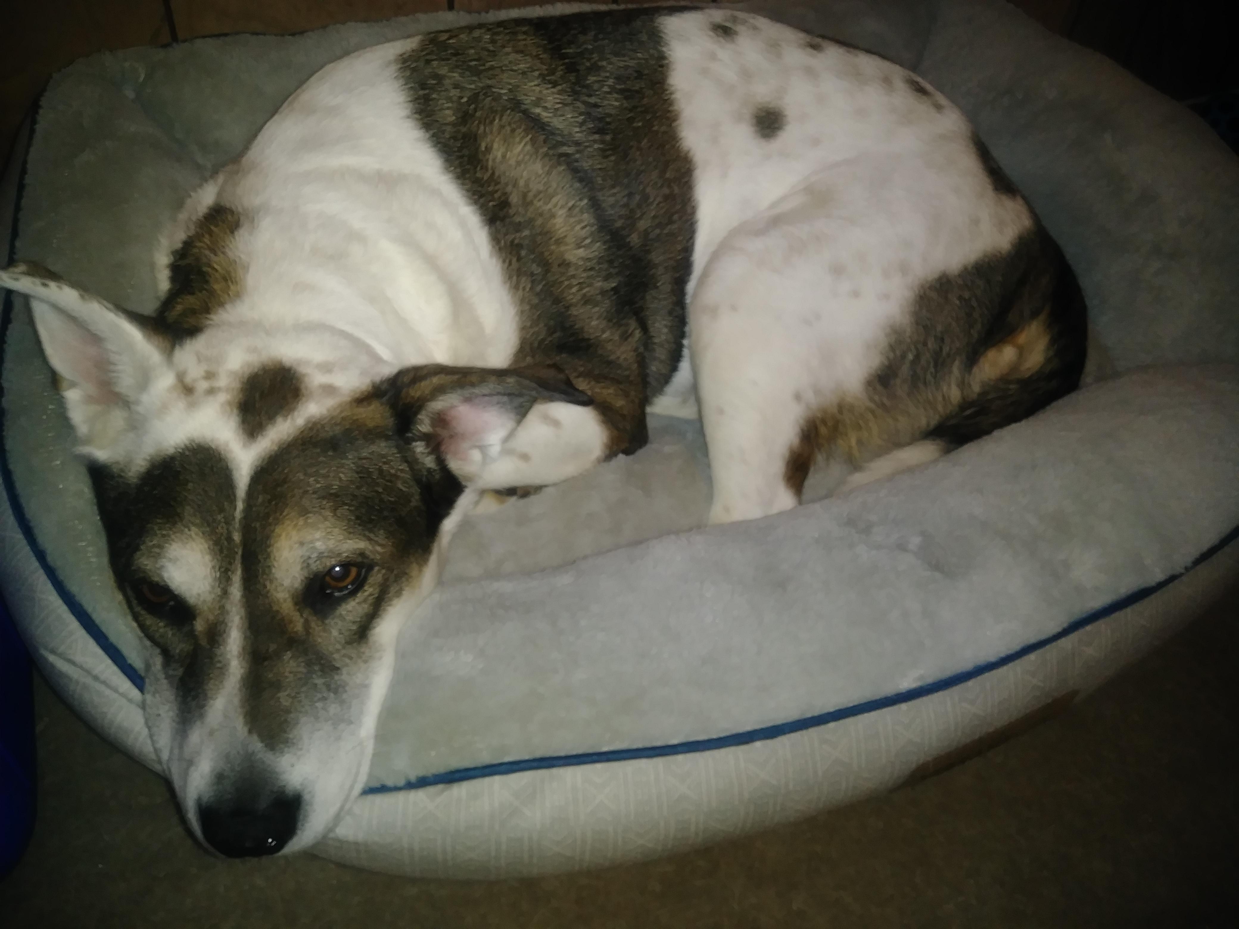 New bed successfully broken in | Scrolller