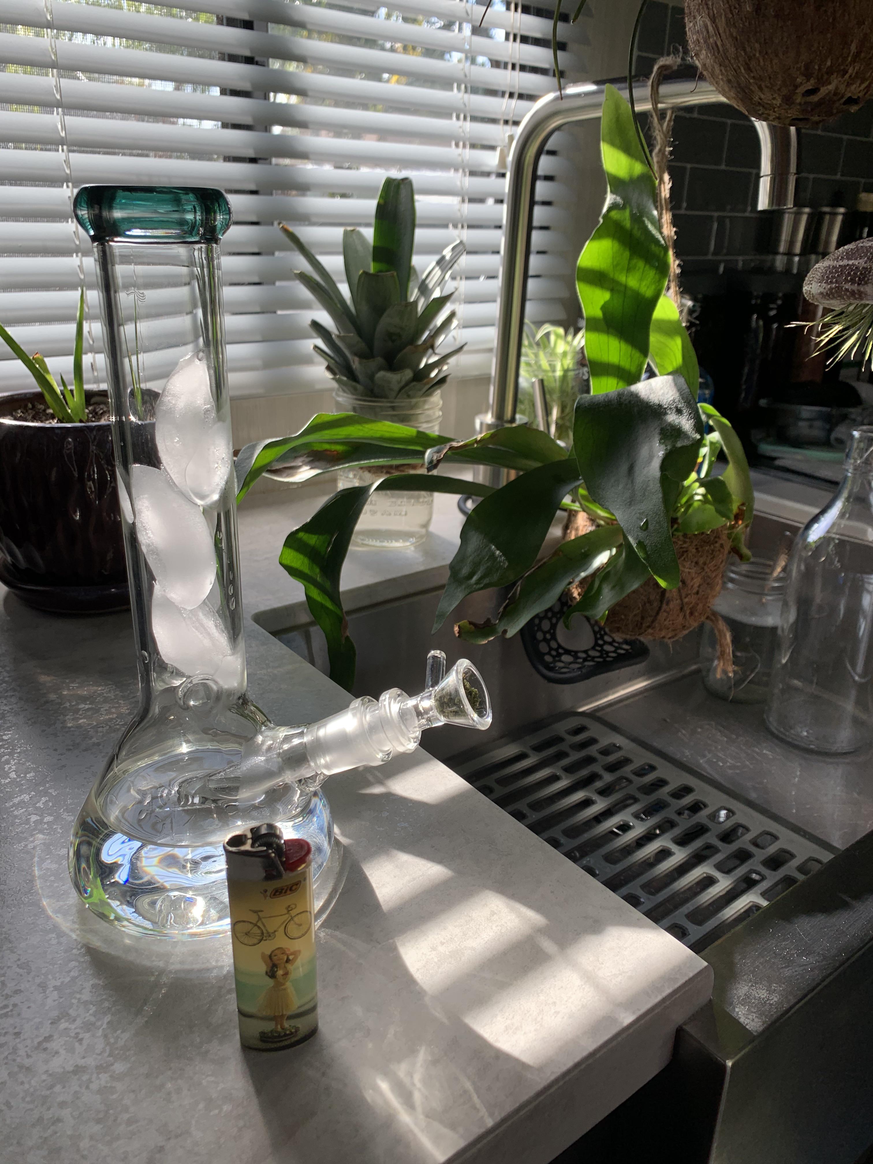 New Bong Day! Let it rip tatter chip!! | Scrolller