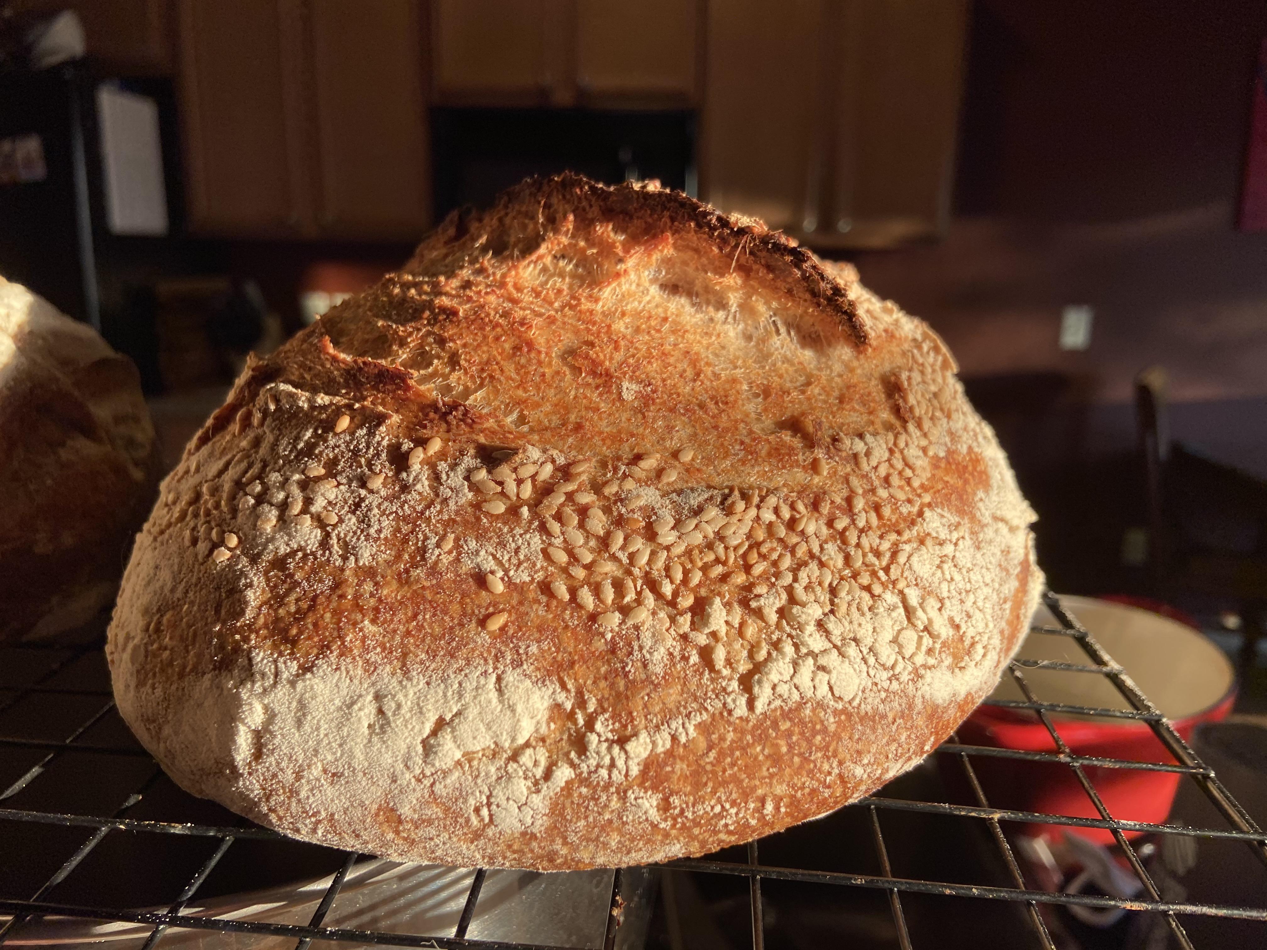 New bread boy - first sourdough loaf ever | Scrolller
