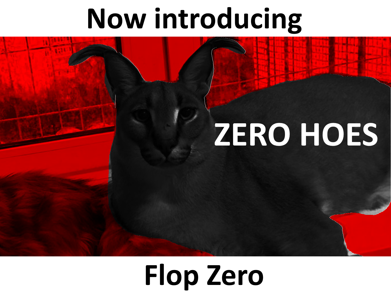 new floppa?? | Scrolller