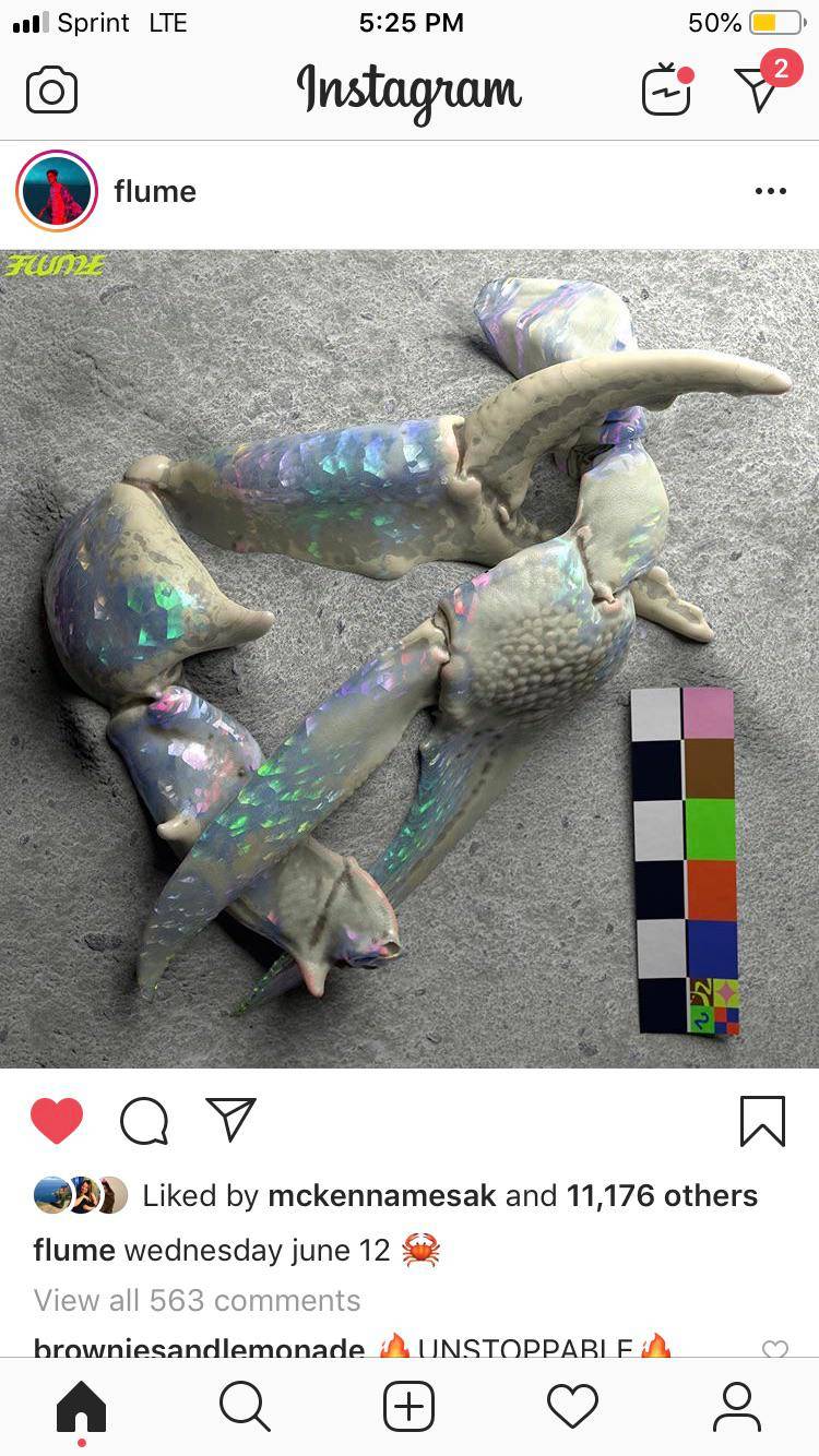 New Flume Wednesday June 12 !!! | Scrolller