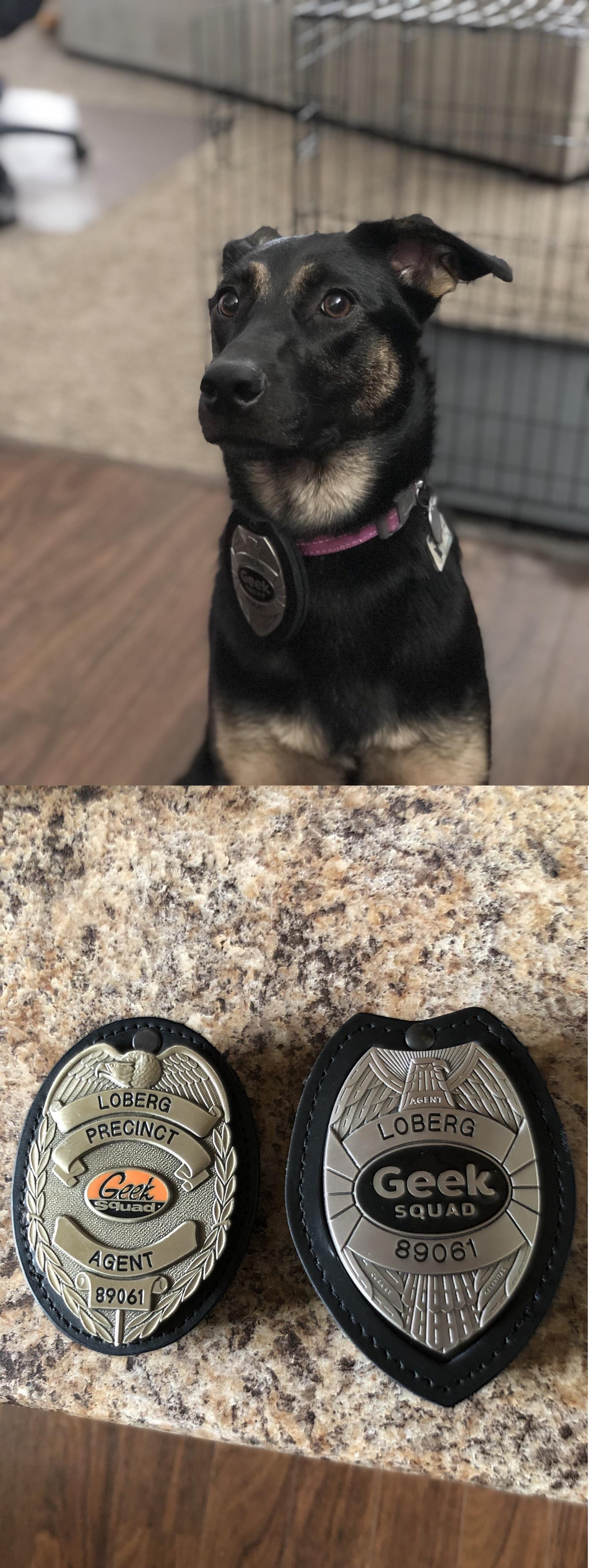 New Geek Squad Badge! | Scrolller