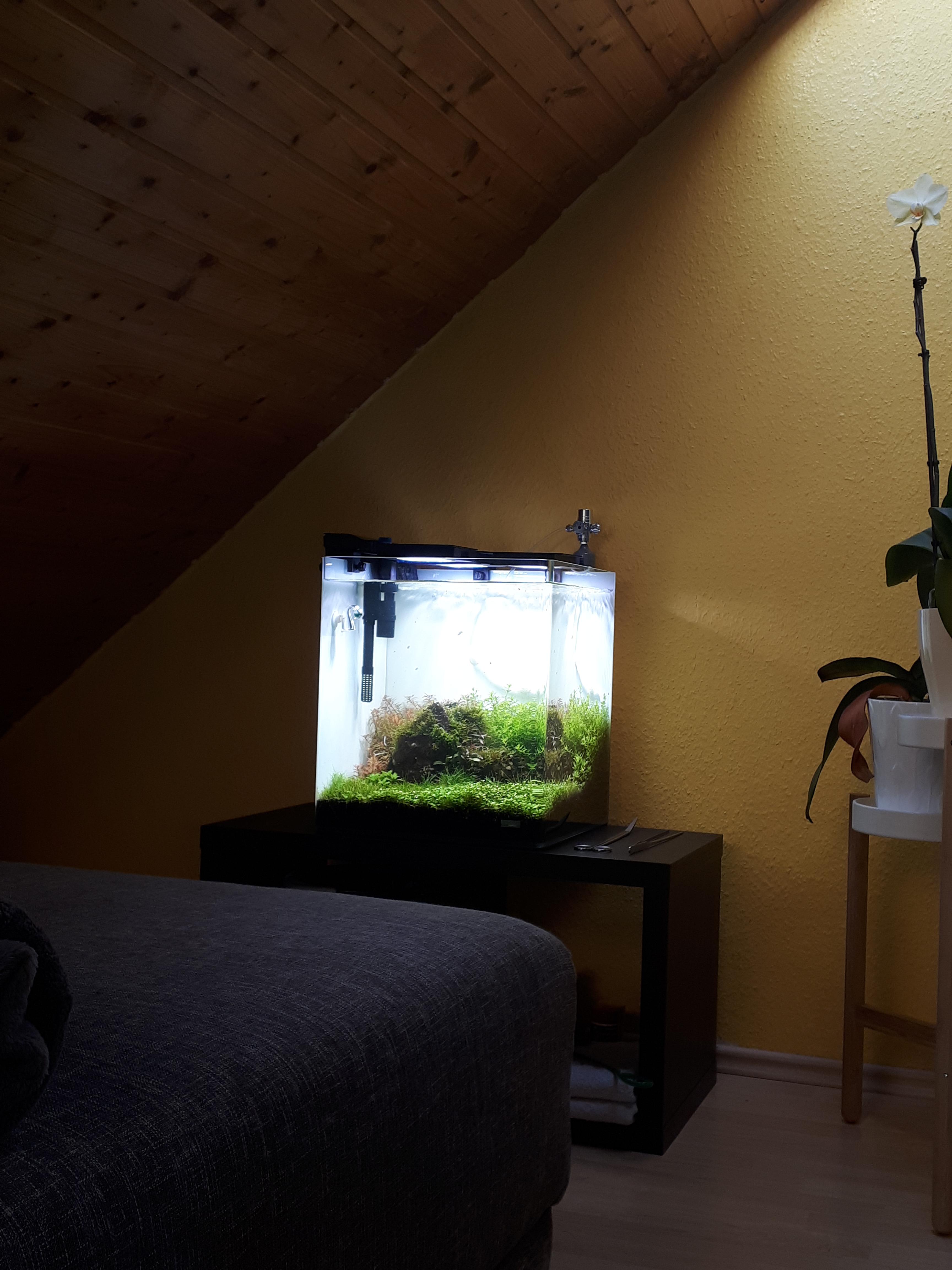 New Layout | Scrolller