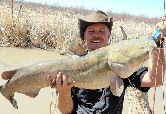 New PB 28lbs NM flathead. | Scrolller