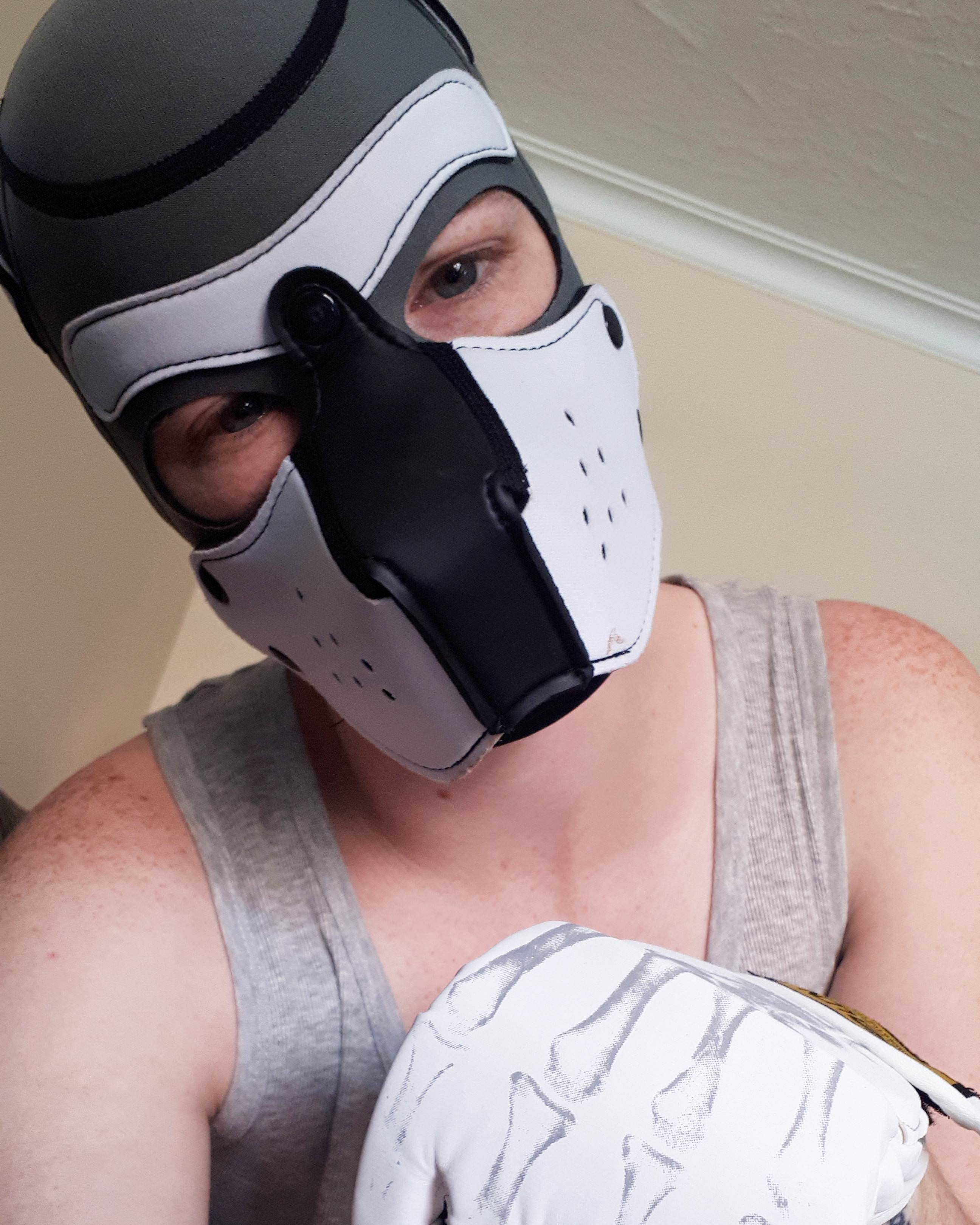 New Pup Paws!! | Scrolller