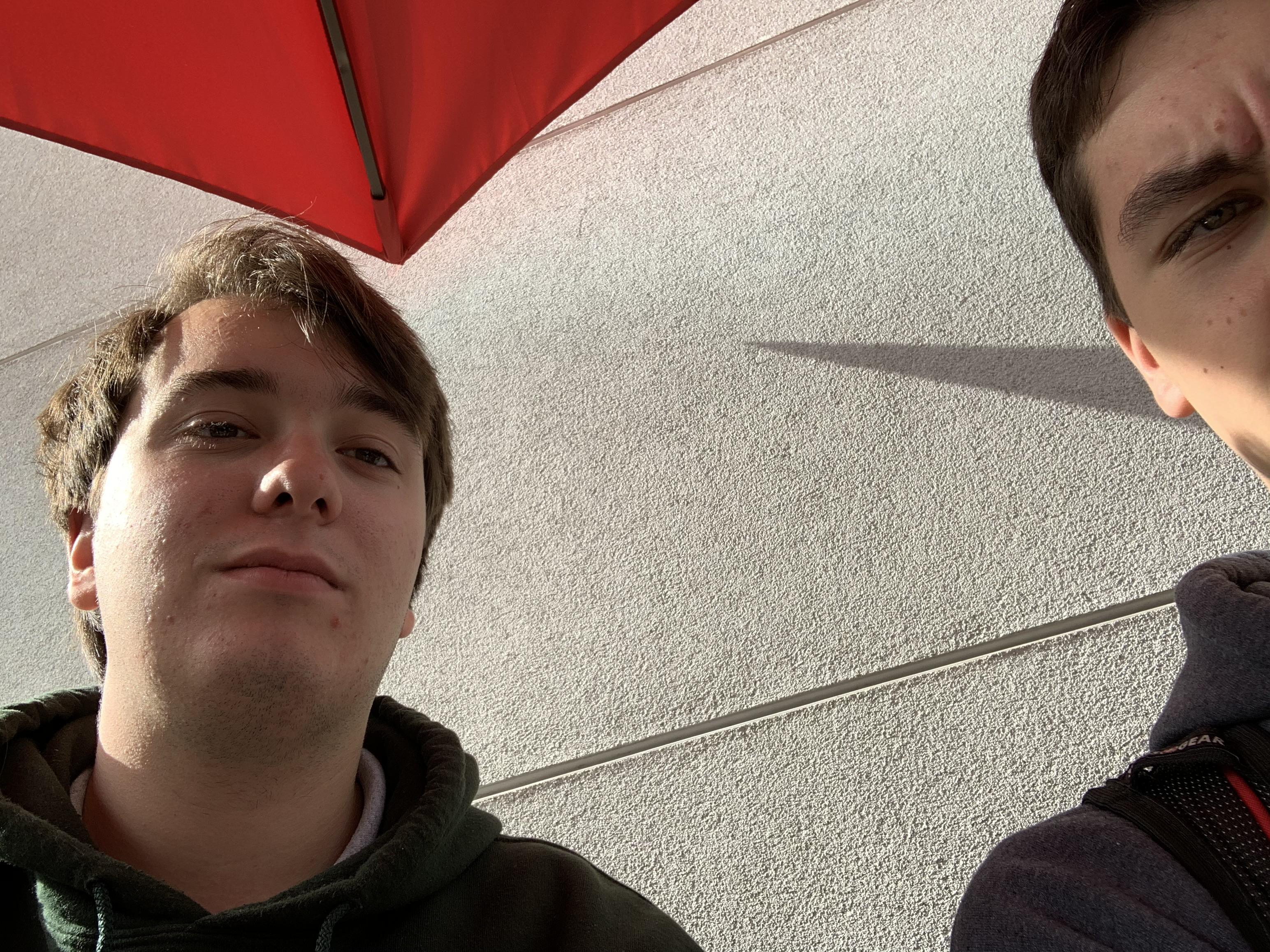 New template using my human, go nuts | Scrolller