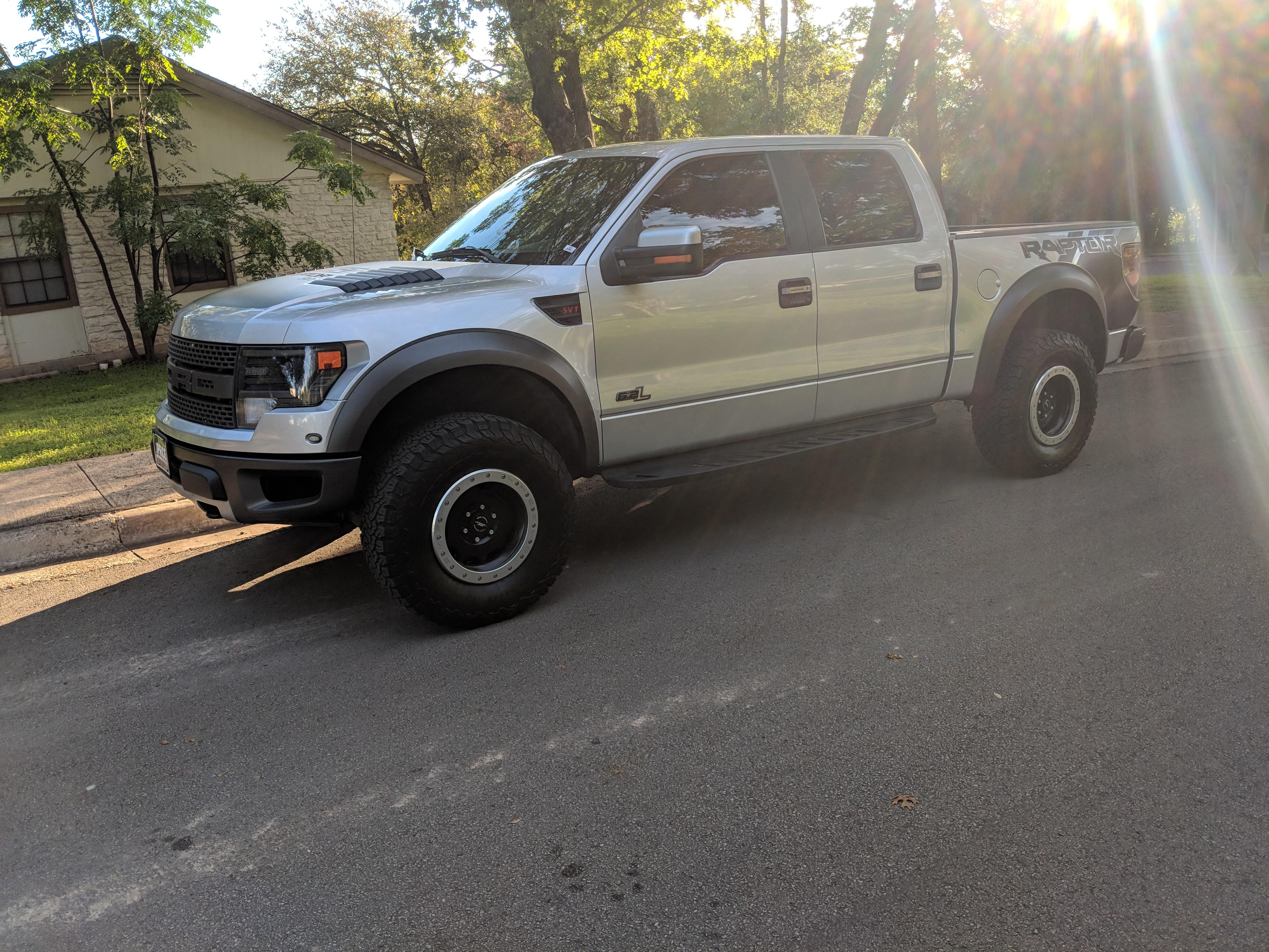 New to me Raptor | Scrolller