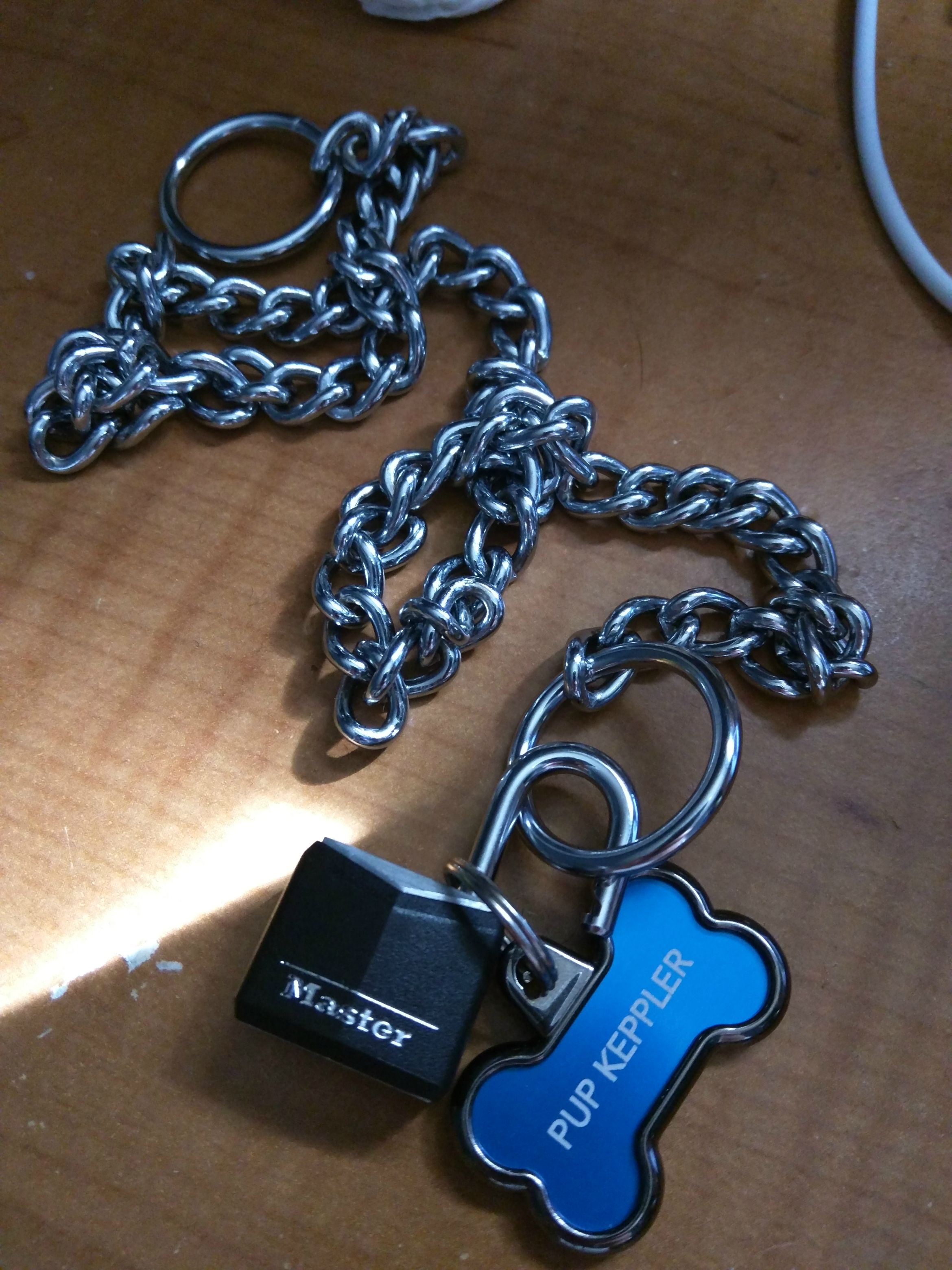 New to pup play, just got my collar and tags! | Scrolller