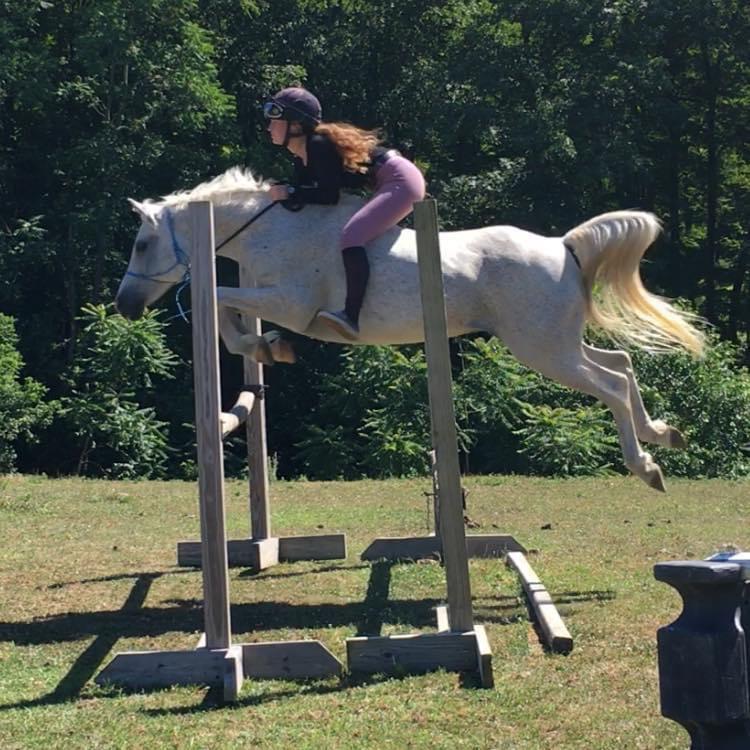 New to Reddit! Meet Taco, my $325 rescue pony. | Scrolller