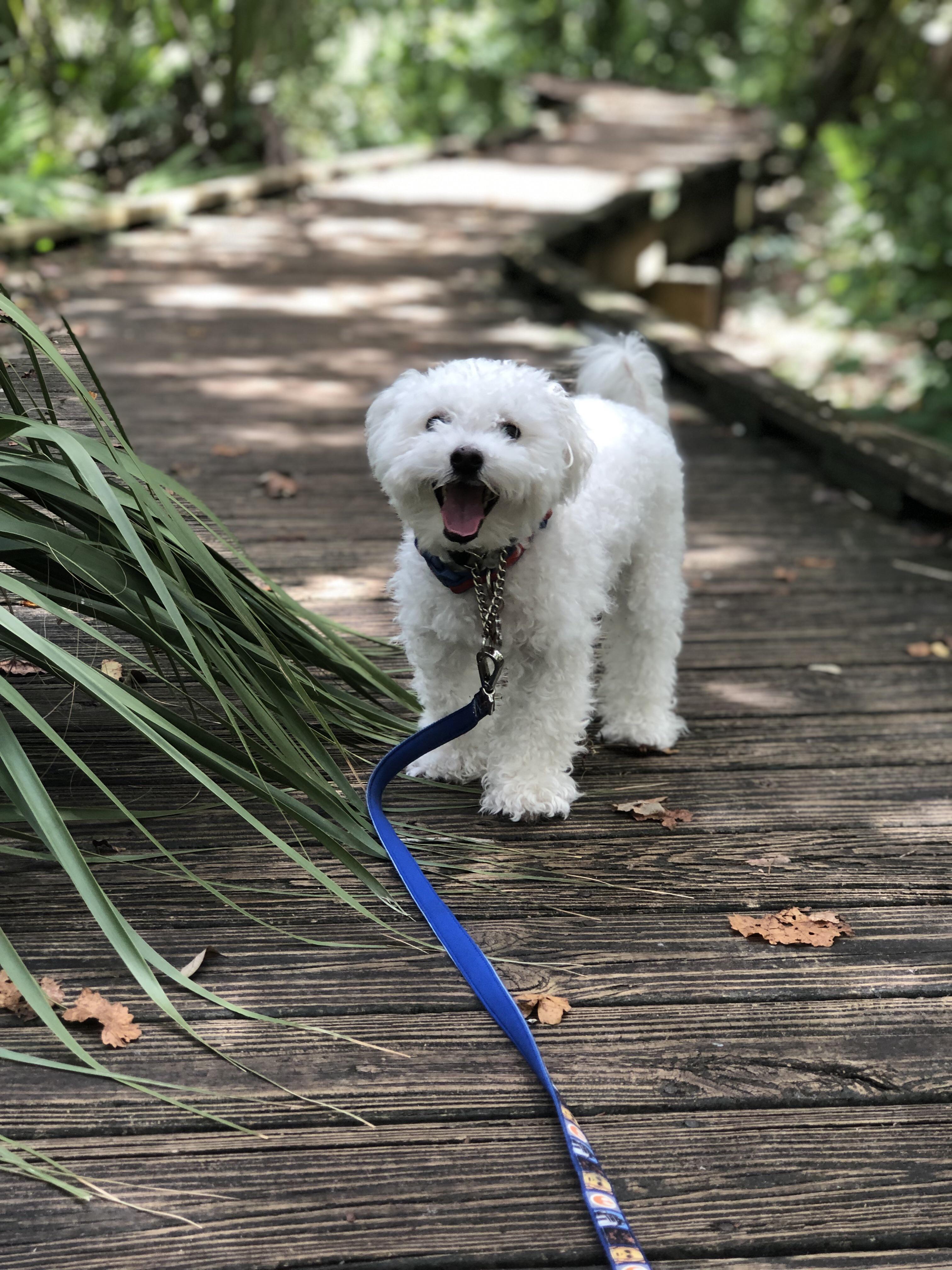 New to the sub! Meet Bernie | Scrolller