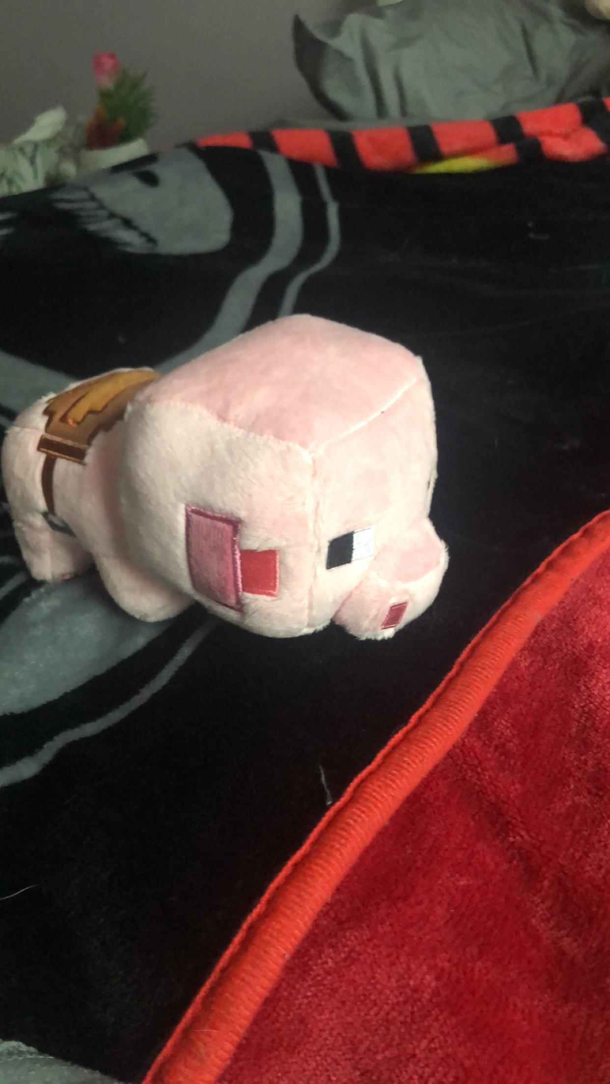 newest plush for my collection, my first minecraft plush and i love him already | Scrolller