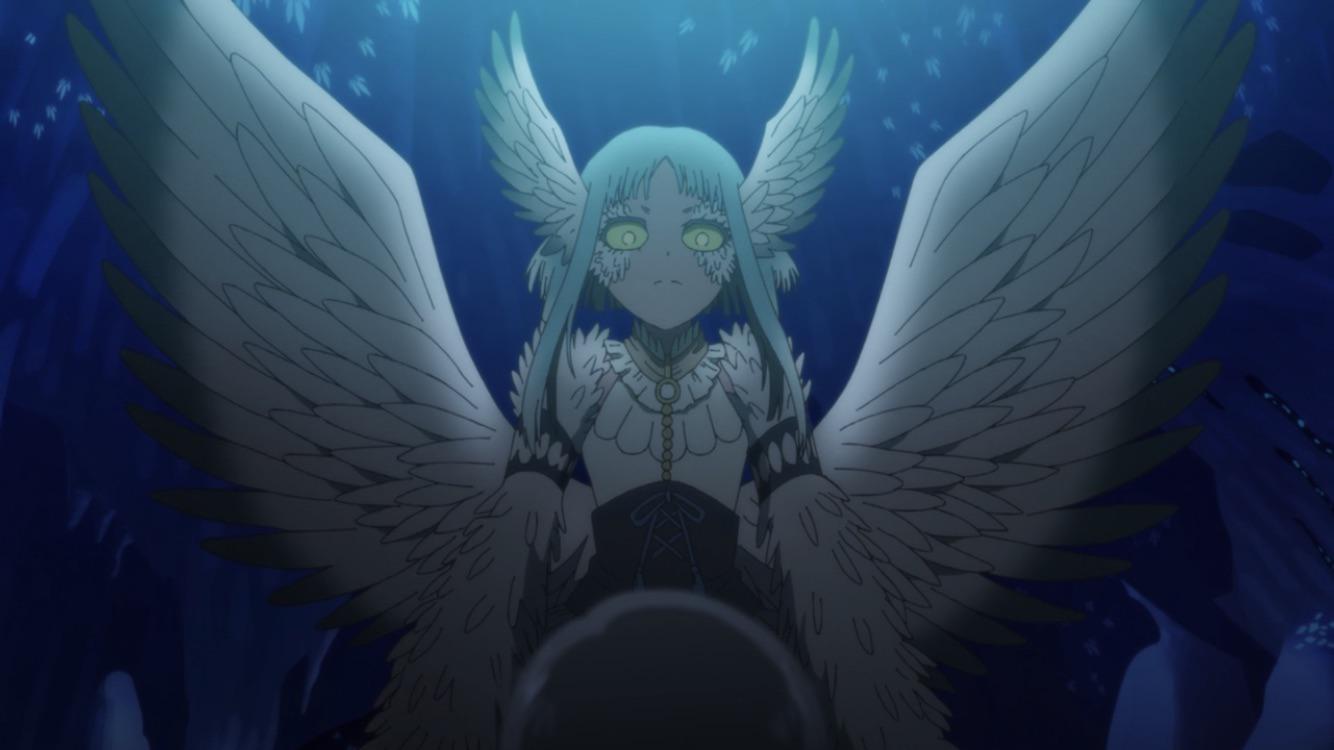 Nice feathers? | Scrolller