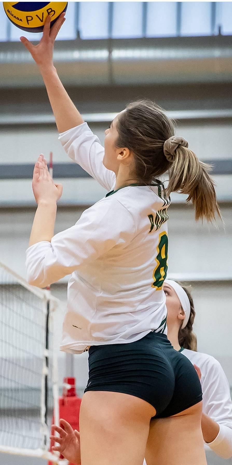 Nice shot | Scrolller