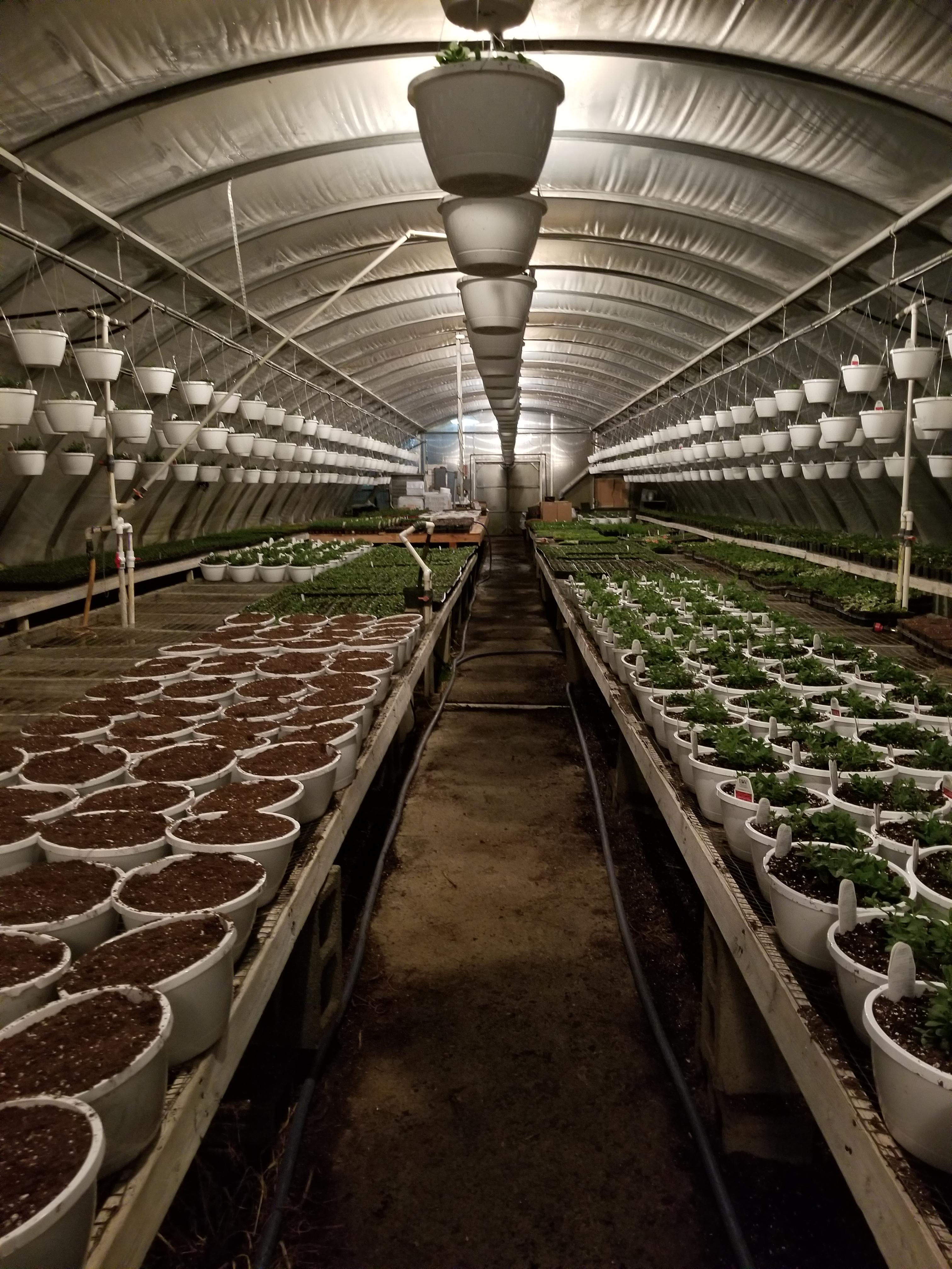 Night shift | Scrolller